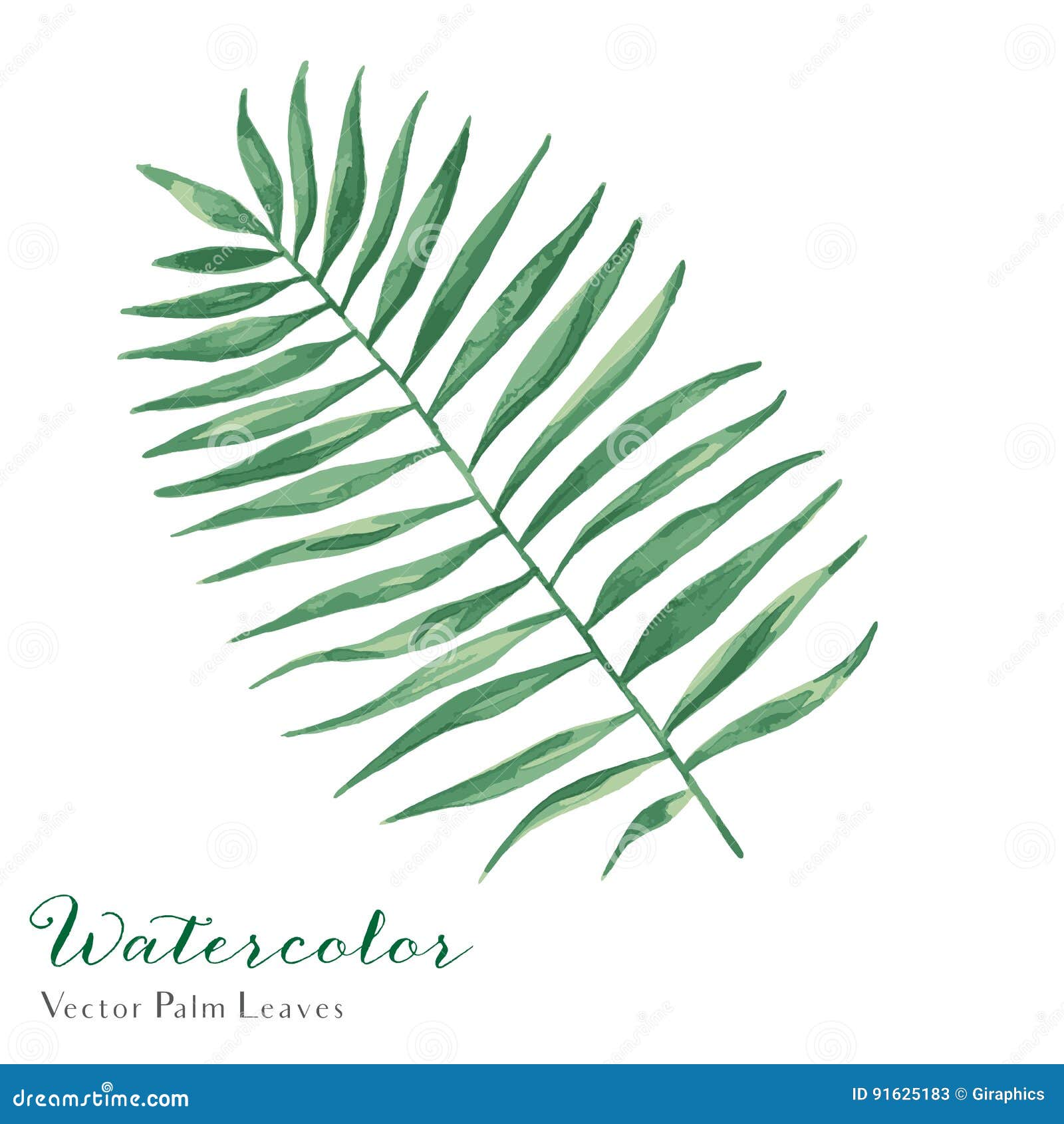 Watercolor Palm Leaves stock vector. Illustration of palm - 91625183