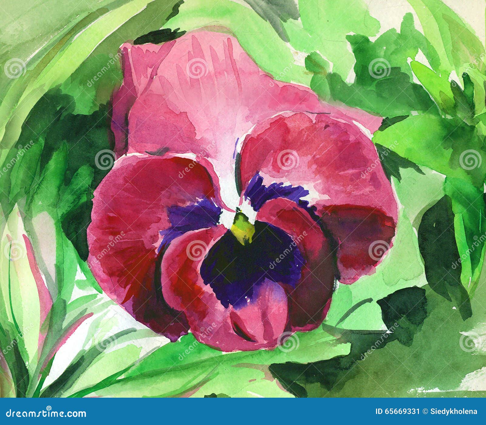 Watercolor with pansies stock illustration. Illustration of bouquet ...