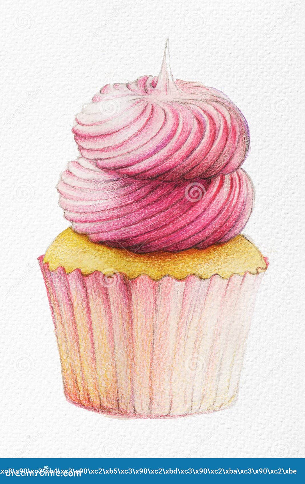 Pink Cupcake. Pastry Watercolour Drawing Cake. Stock Illustration ...