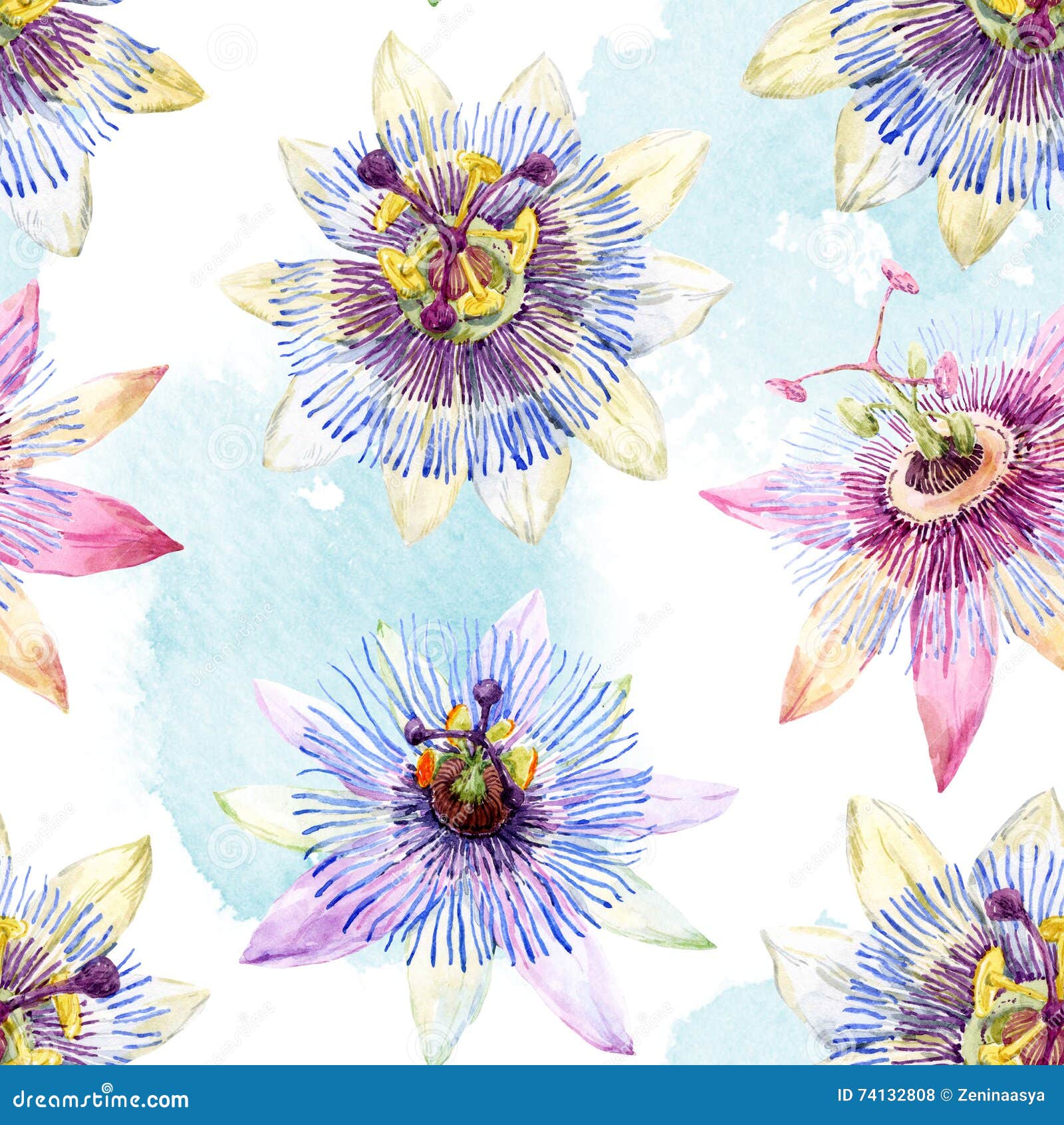 Watercolor Passion Flower Pattern Stock Illustration - Illustration of ...