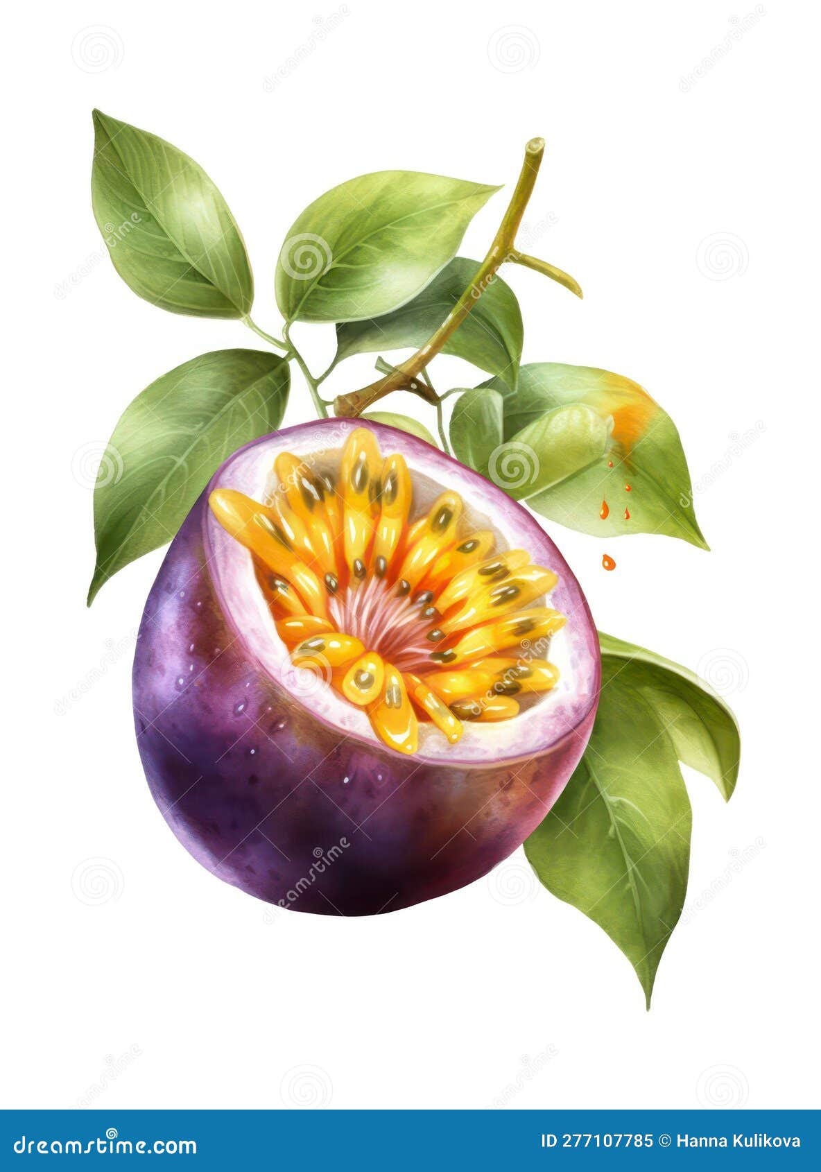 Watercolor Passion Fruit Stock Illustration Illustration Of Isolated