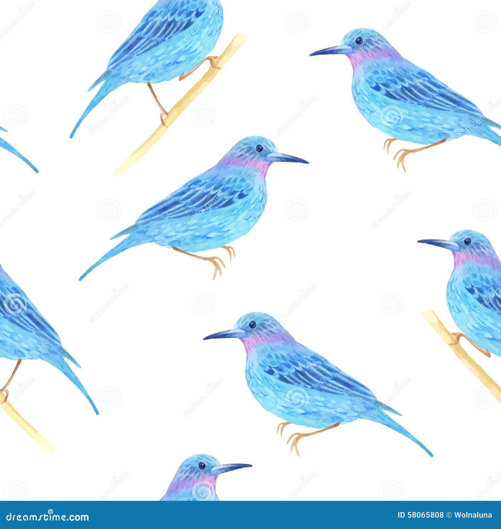 Watercolor pattern stock vector. Illustration of feather - 58065808