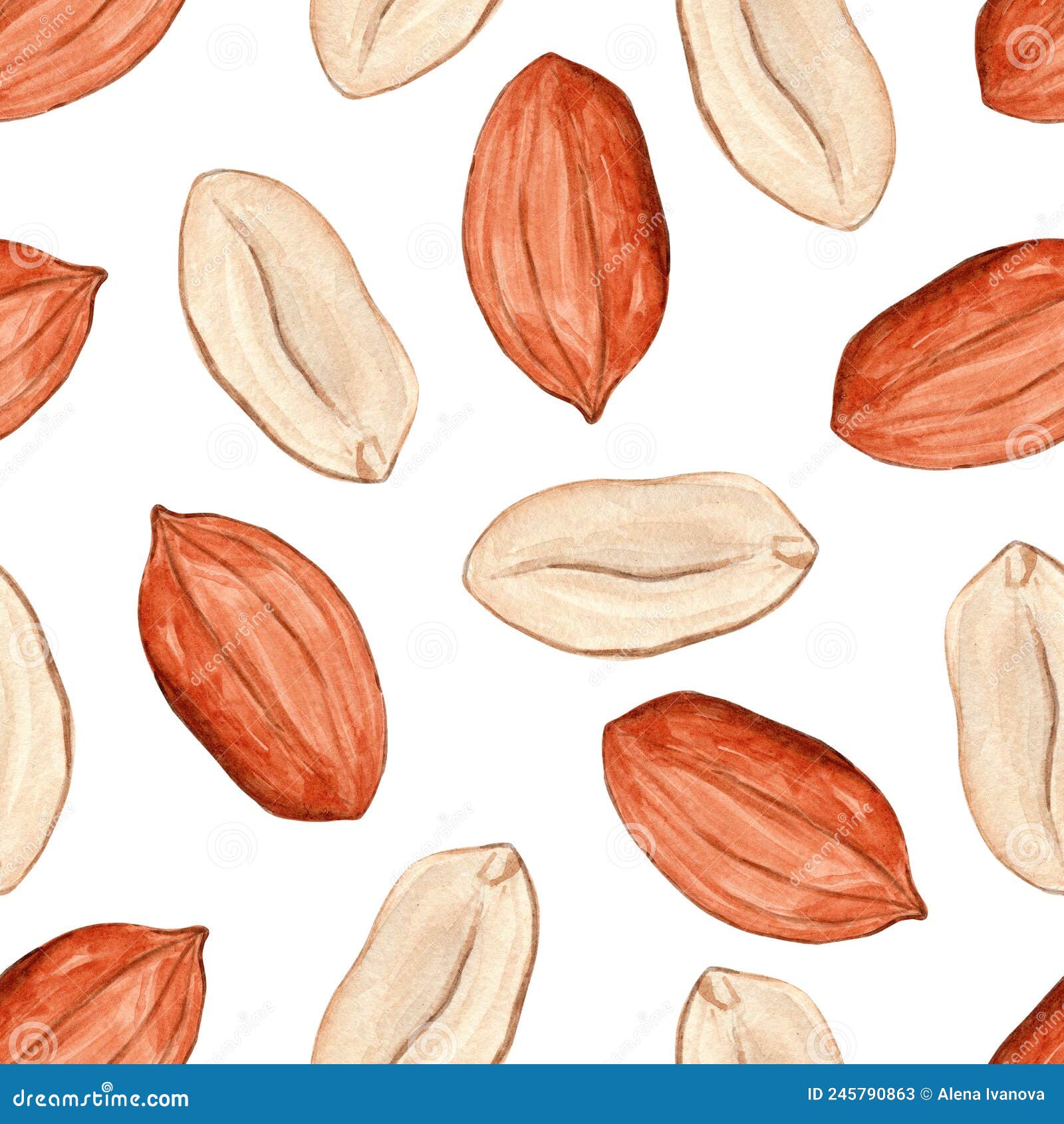 Peanut Seamless Pattern. Roasted Peanuts In Shell. Background Design ...