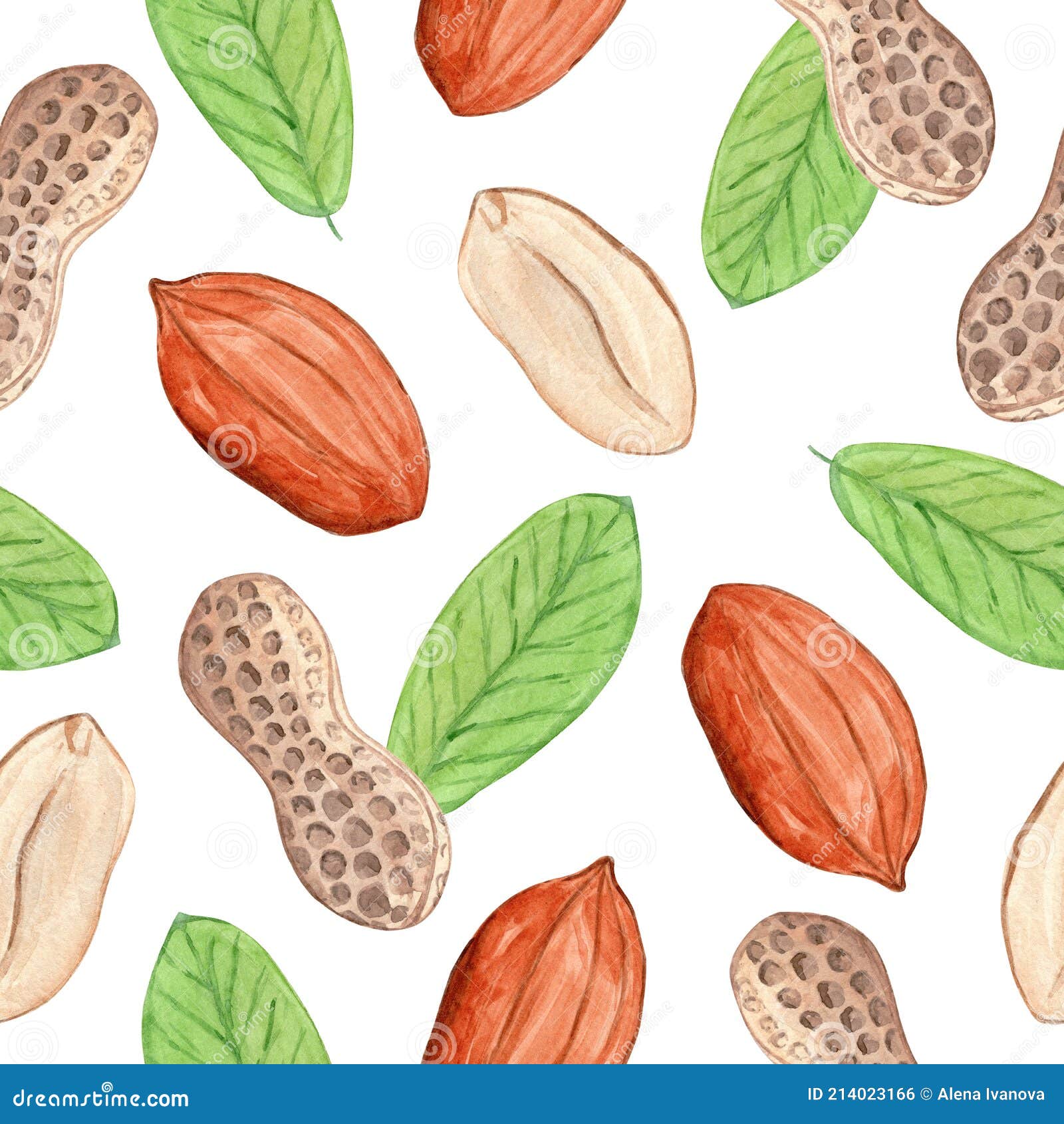 Watercolor Peanut Seamless Pattern on White Background Stock ...