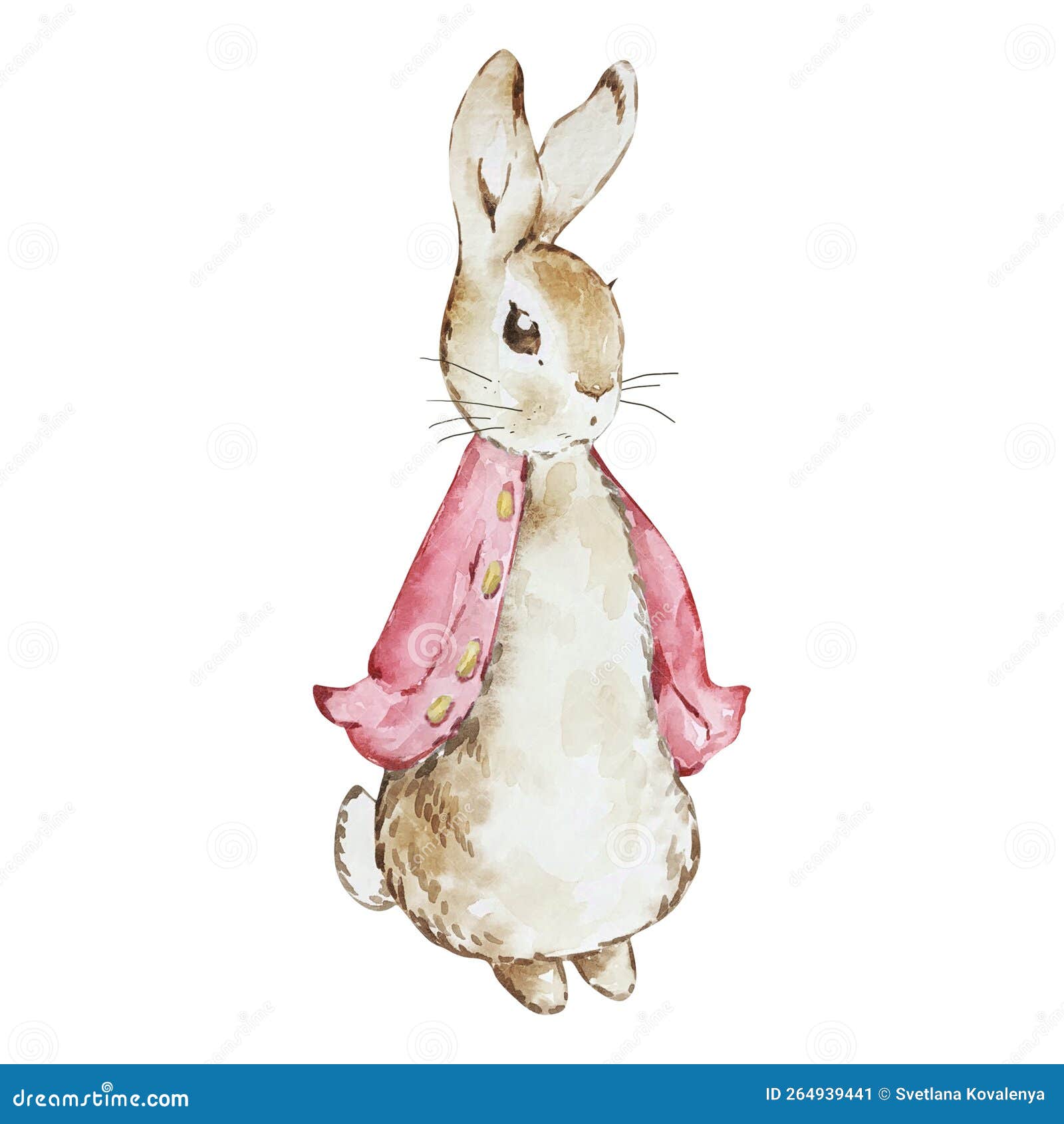 Watercolor Peter Rabbit in Red Jacket Stock Vector - Illustration of ...