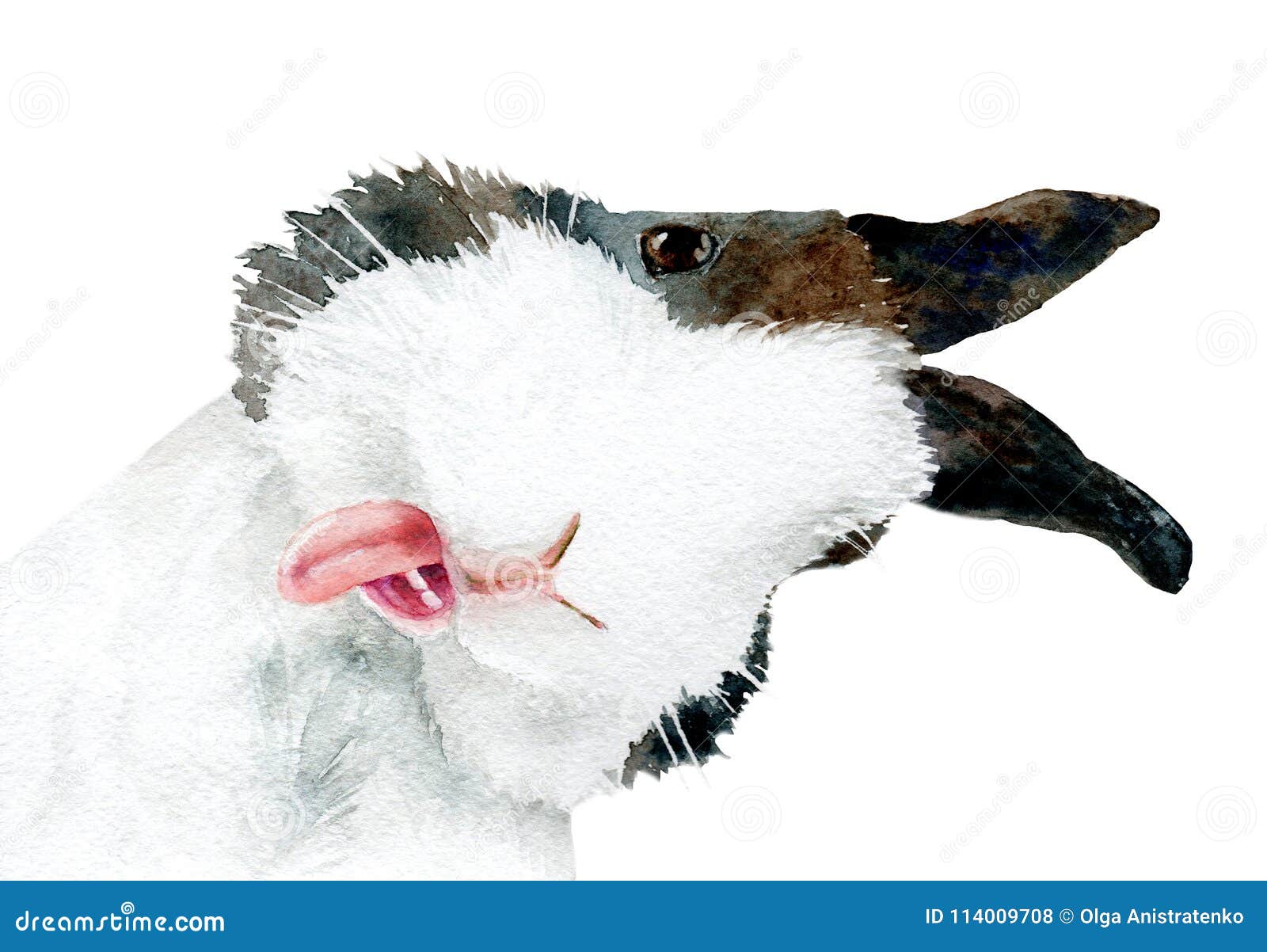 Watercolor Picture of a Curious Rabbit Stock Illustration ...