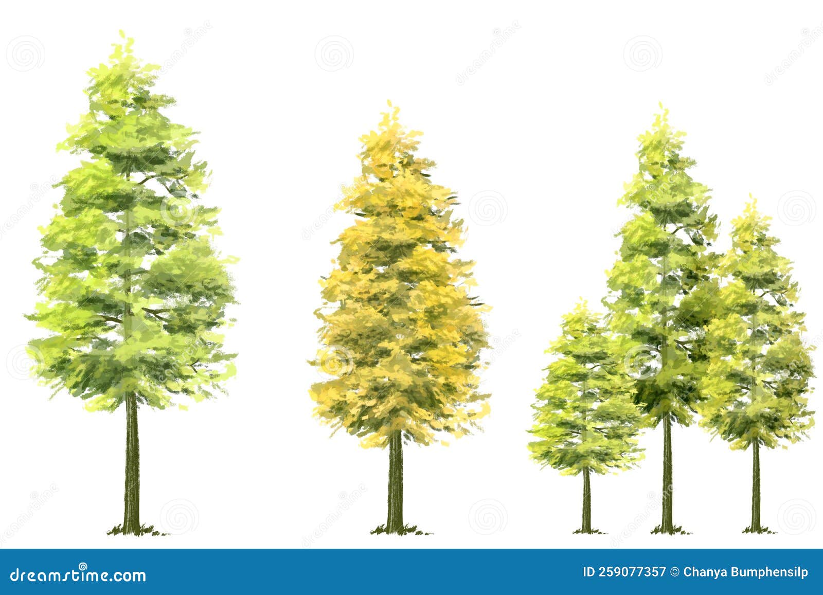 Tree Side View Isolated On White Background For Landscape Stock Image ...