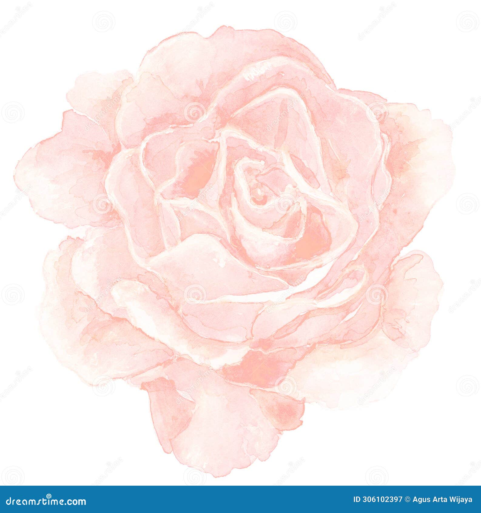 Watercolor Pink Flower Illustration Stock Illustration - Illustration ...