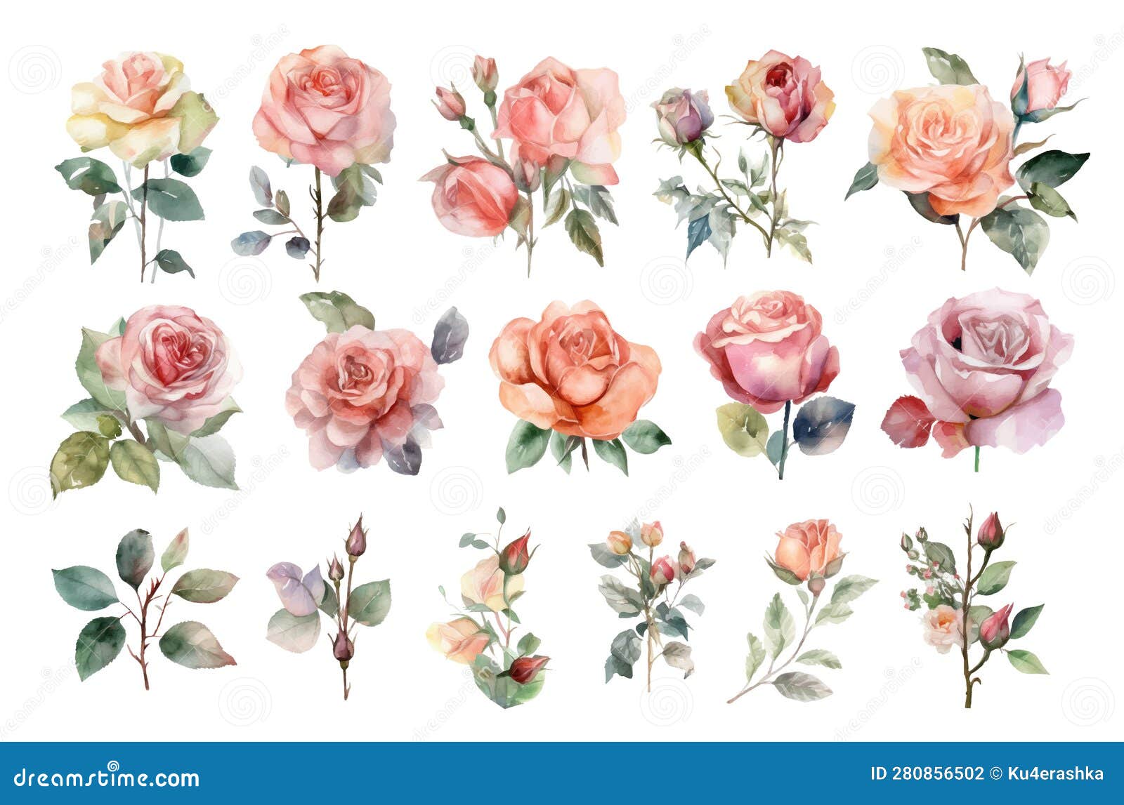 Watercolor Pink Rose Clipart for Graphic Resources. Stock Vector ...