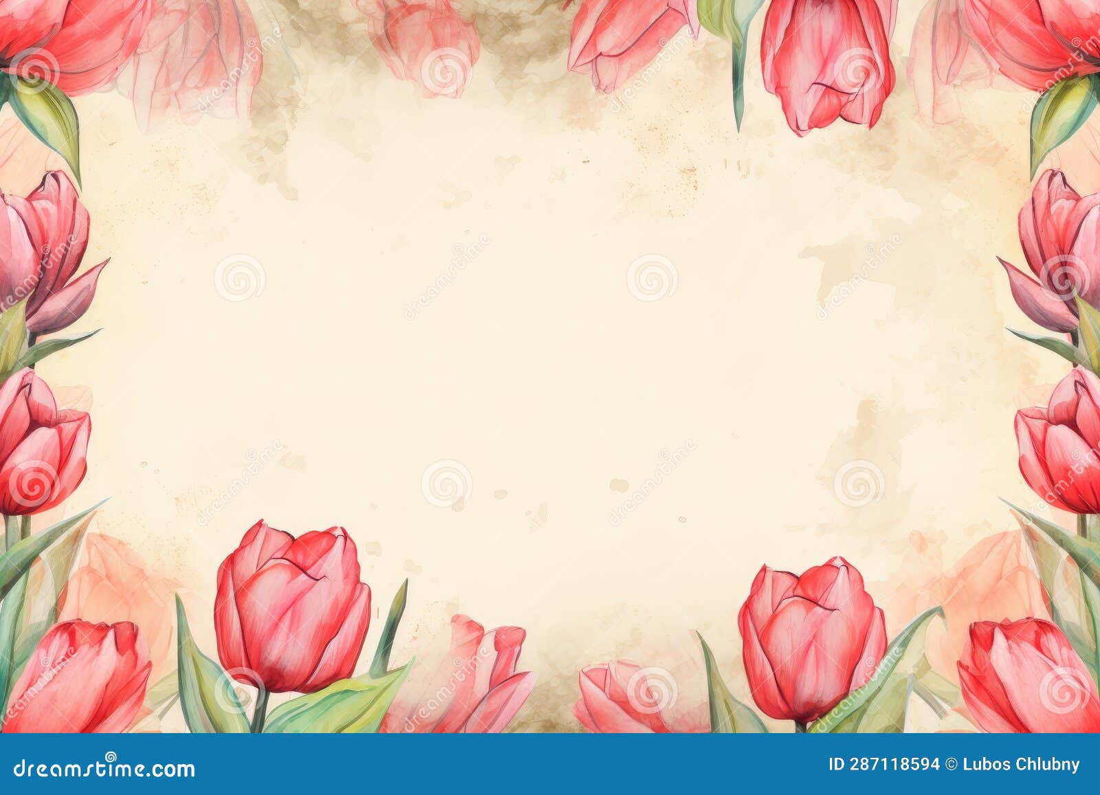 Watercolor Pink Tulips Frames on Vintage Background Stock Illustration ...