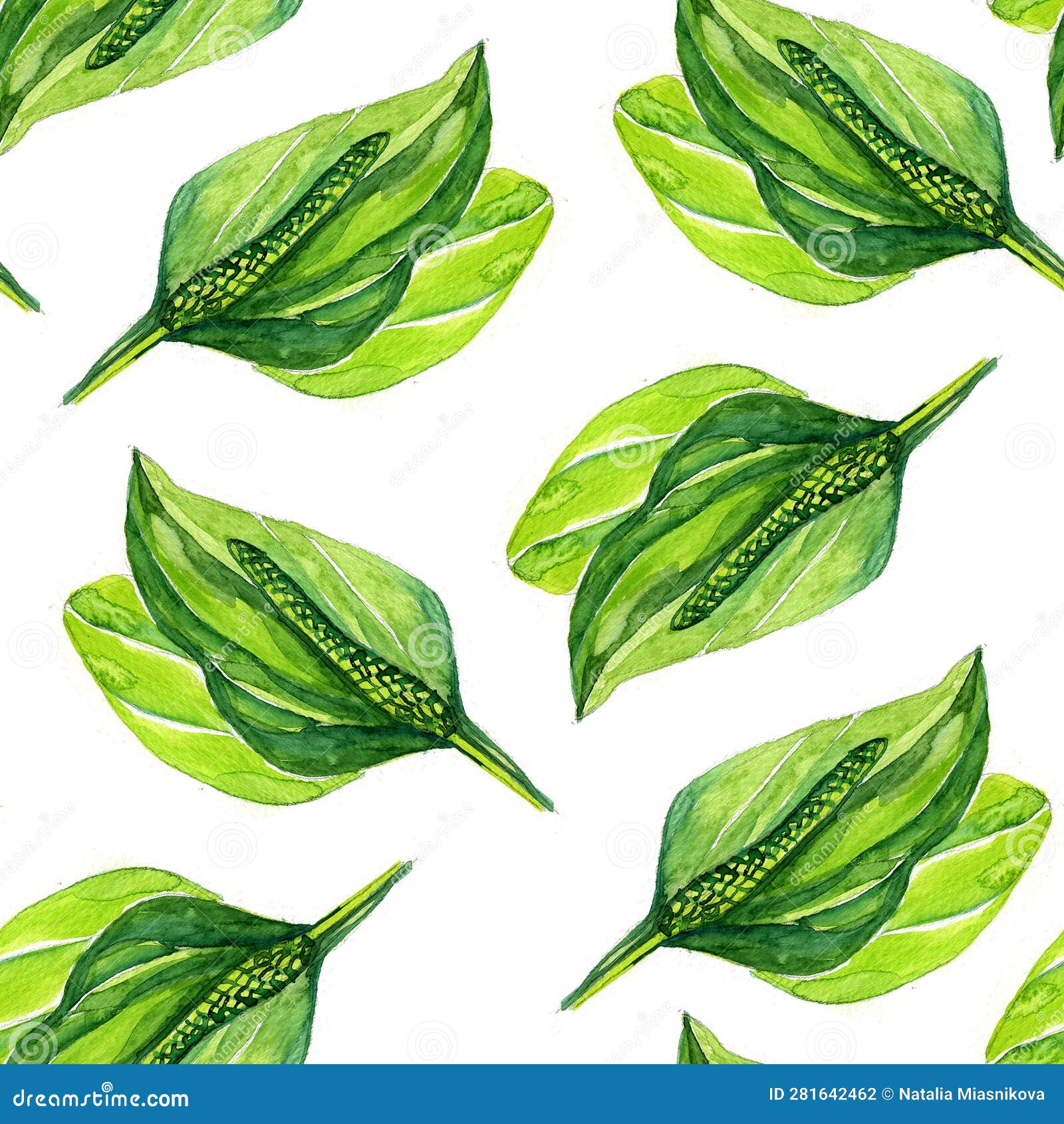 Watercolor Plantain Herbs. Seamless Pattern Cartoon Vector ...