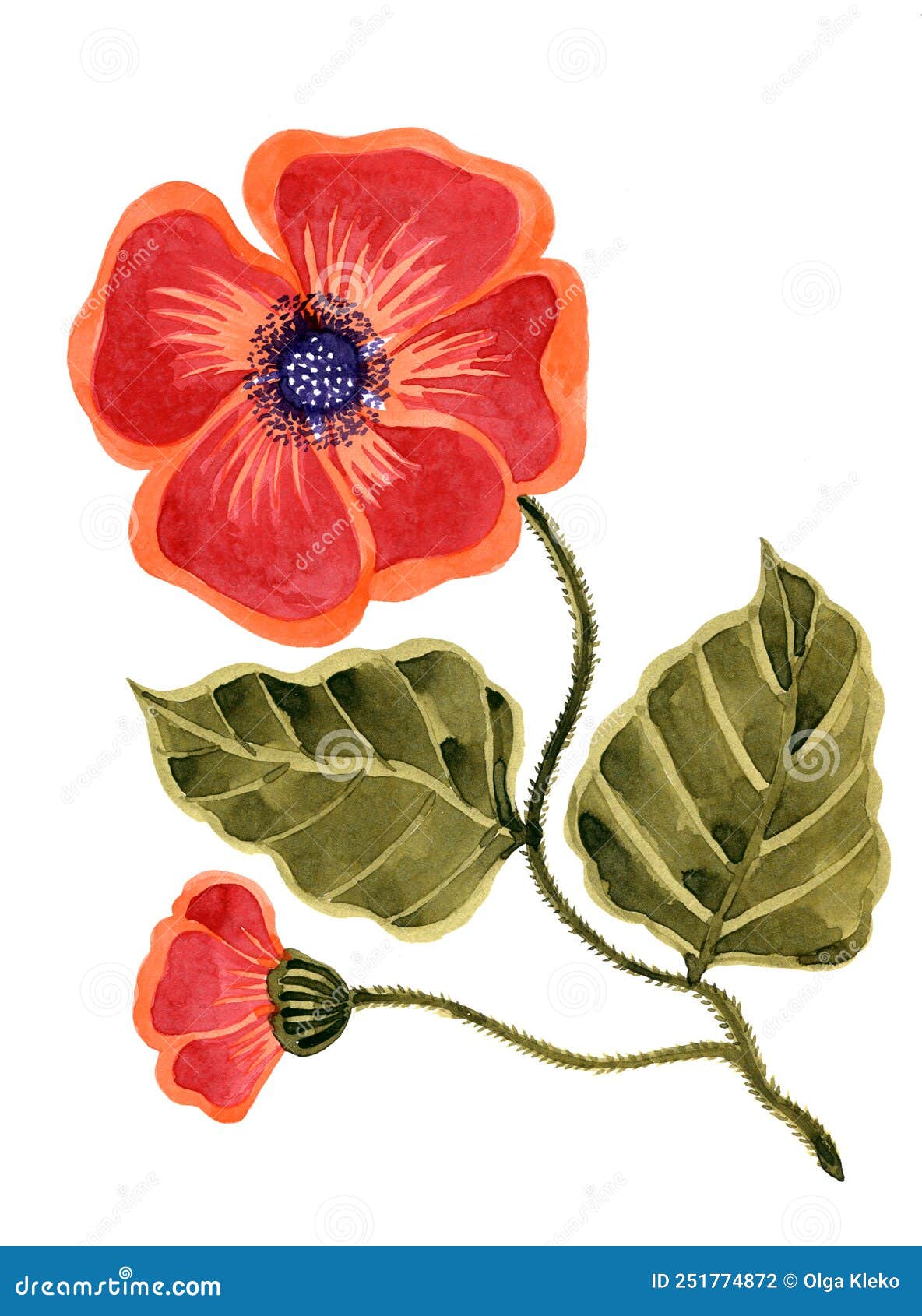 Poppy Drawing Black And White Vector Illustration | CartoonDealer.com ...