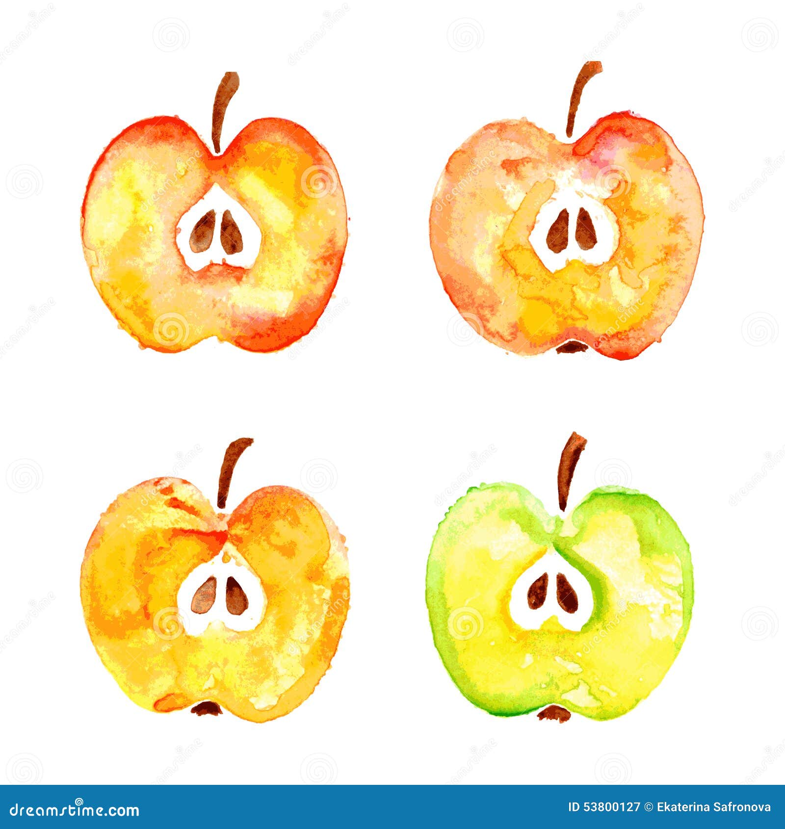 Four Apples Stock Image | CartoonDealer.com #8043313