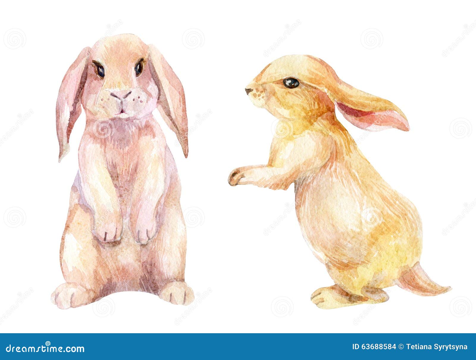 Watercolor Rabbit Illustration Stock Illustration - Illustration of ...
