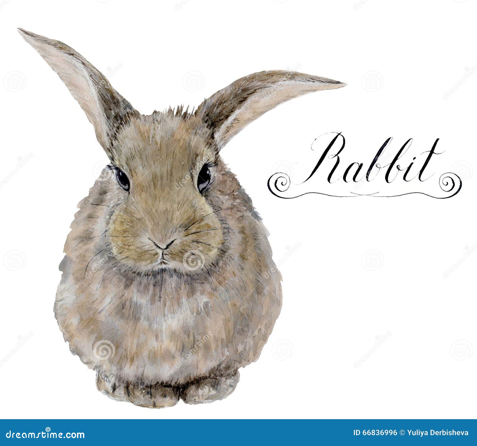 Watercolor Rabbit Cartoon Character Clipart Stock Photography ...