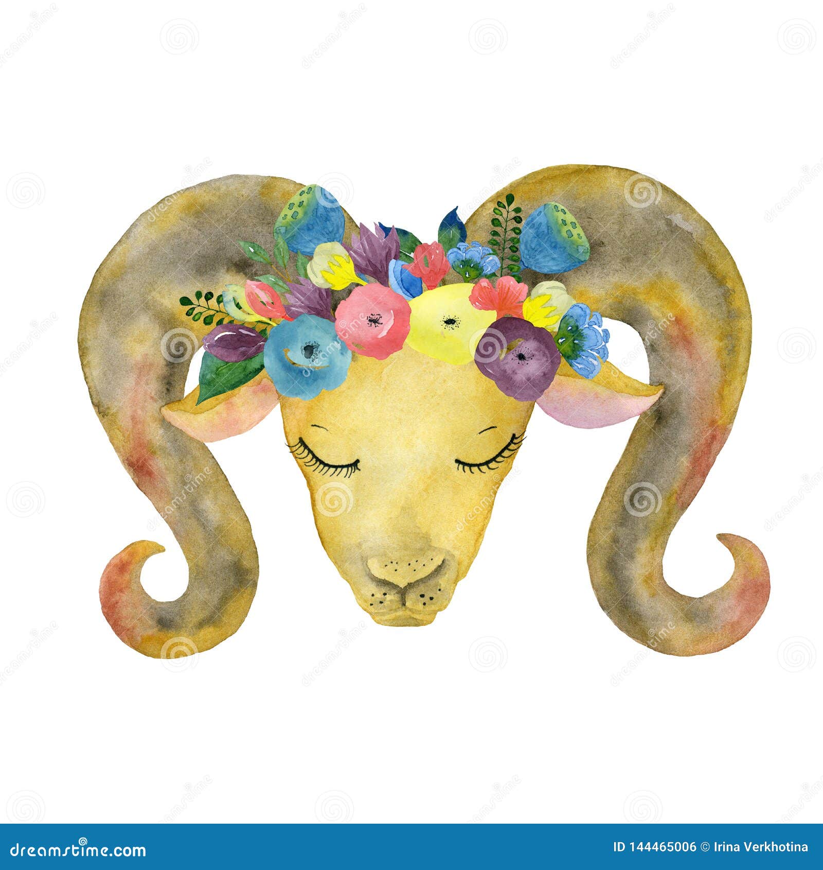Watercolor Ram on a White Background Stock Illustration - Illustration ...