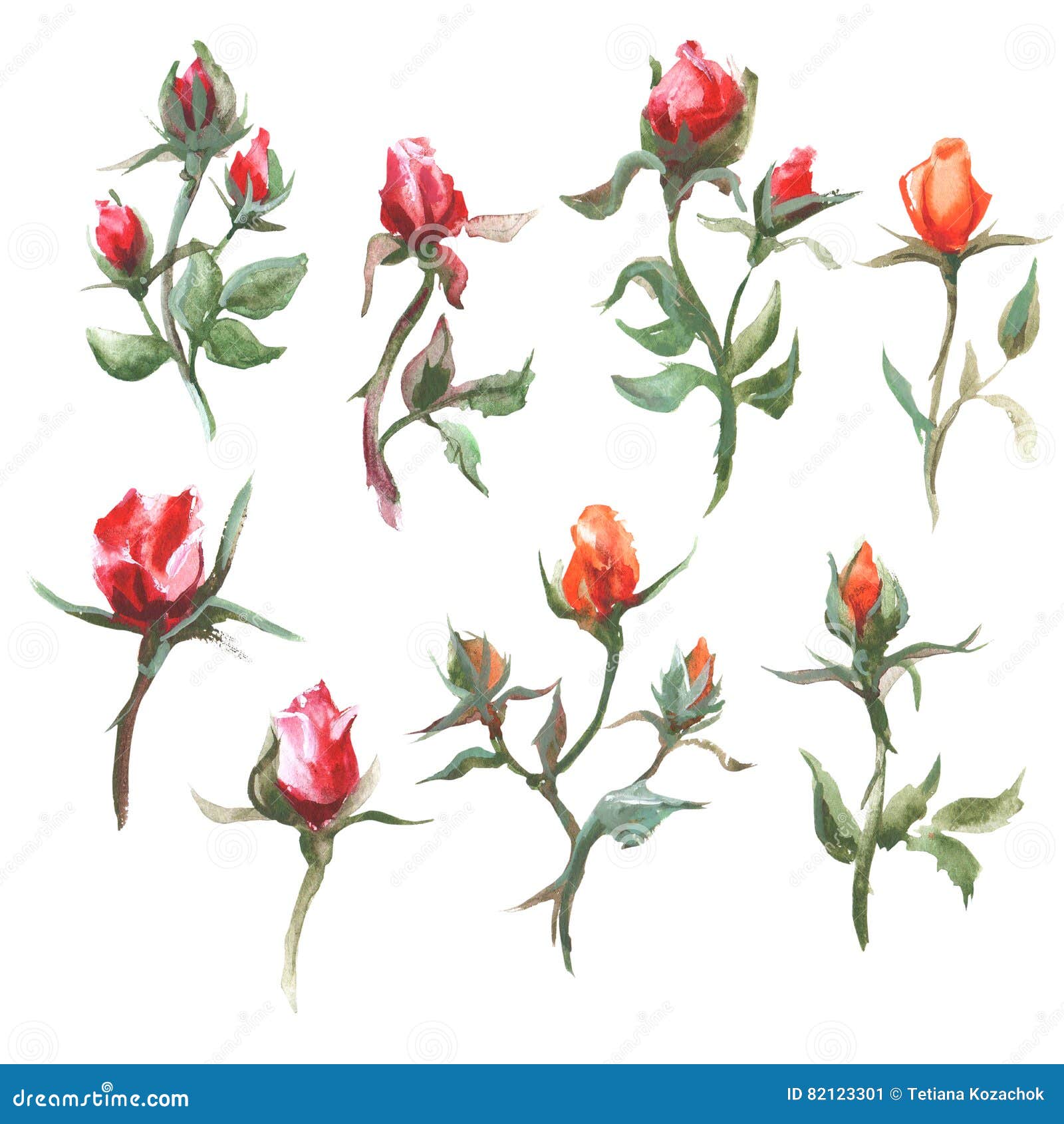Watercolor Raster Illustration of Set Roses. Stock Illustration ...
