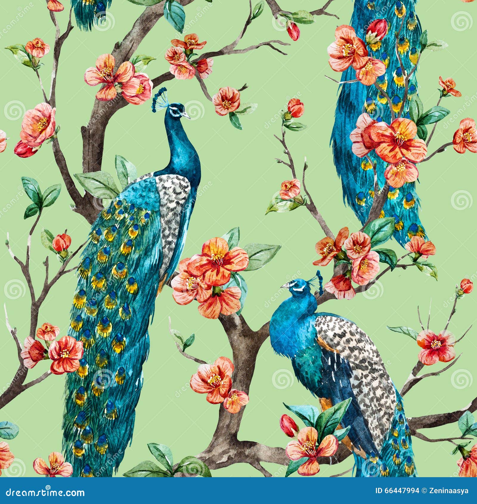 Pattern Of Peacock, Nostalgie Of Art Nuvo. Cartoon Vector ...