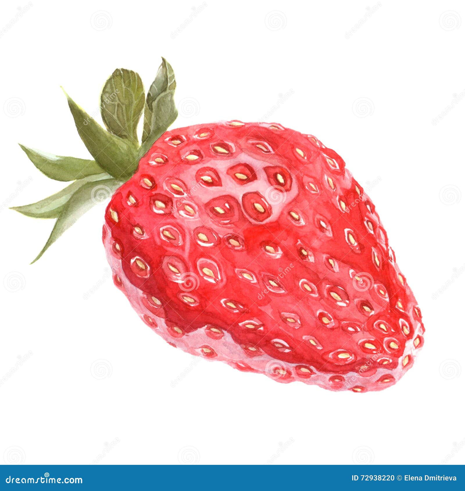 Watercolor Realistic Isolated Strawberry Stock Photo - Image of happy ...