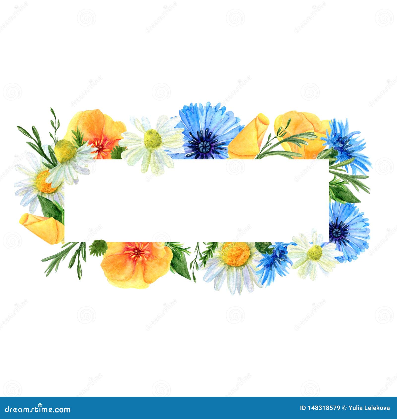 Watercolor Rectangular Frame with Summer Meadow Flowers and Herbs ...