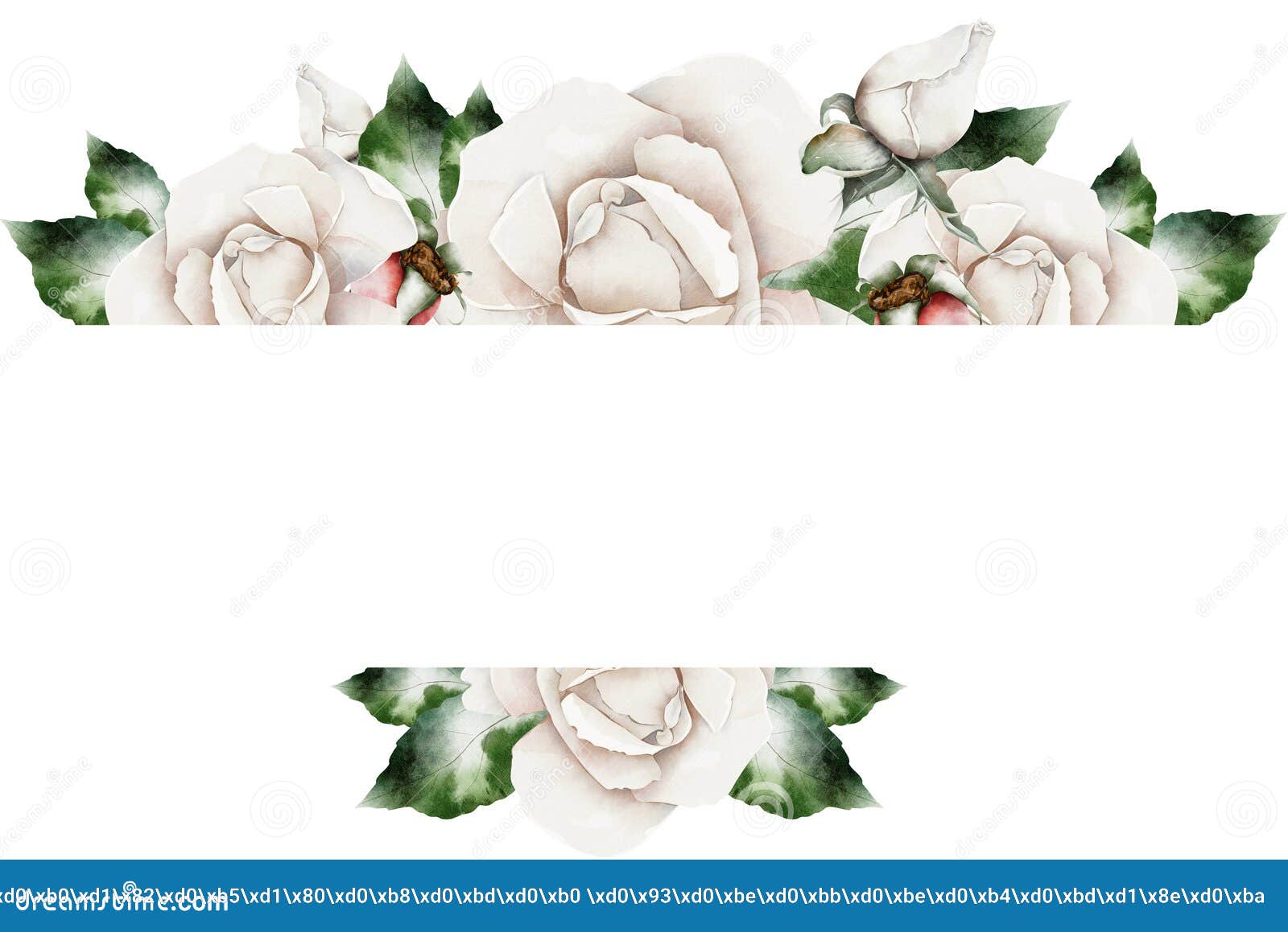 Watercolor Rectangular Frame with White Roses and Wild Rose Stock ...