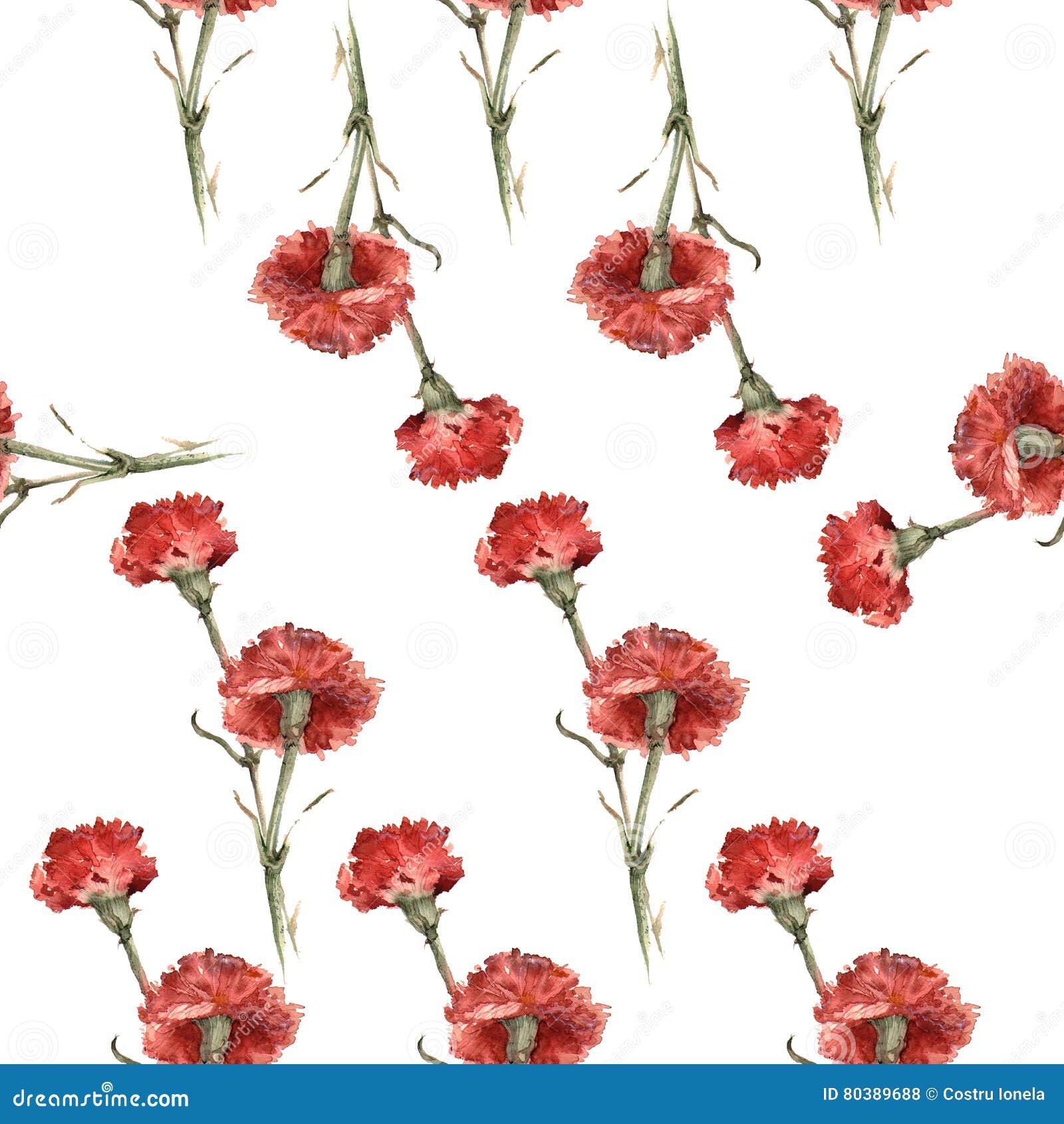 Watercolor Red Carnation Pattern Stock Illustration - Illustration of ...