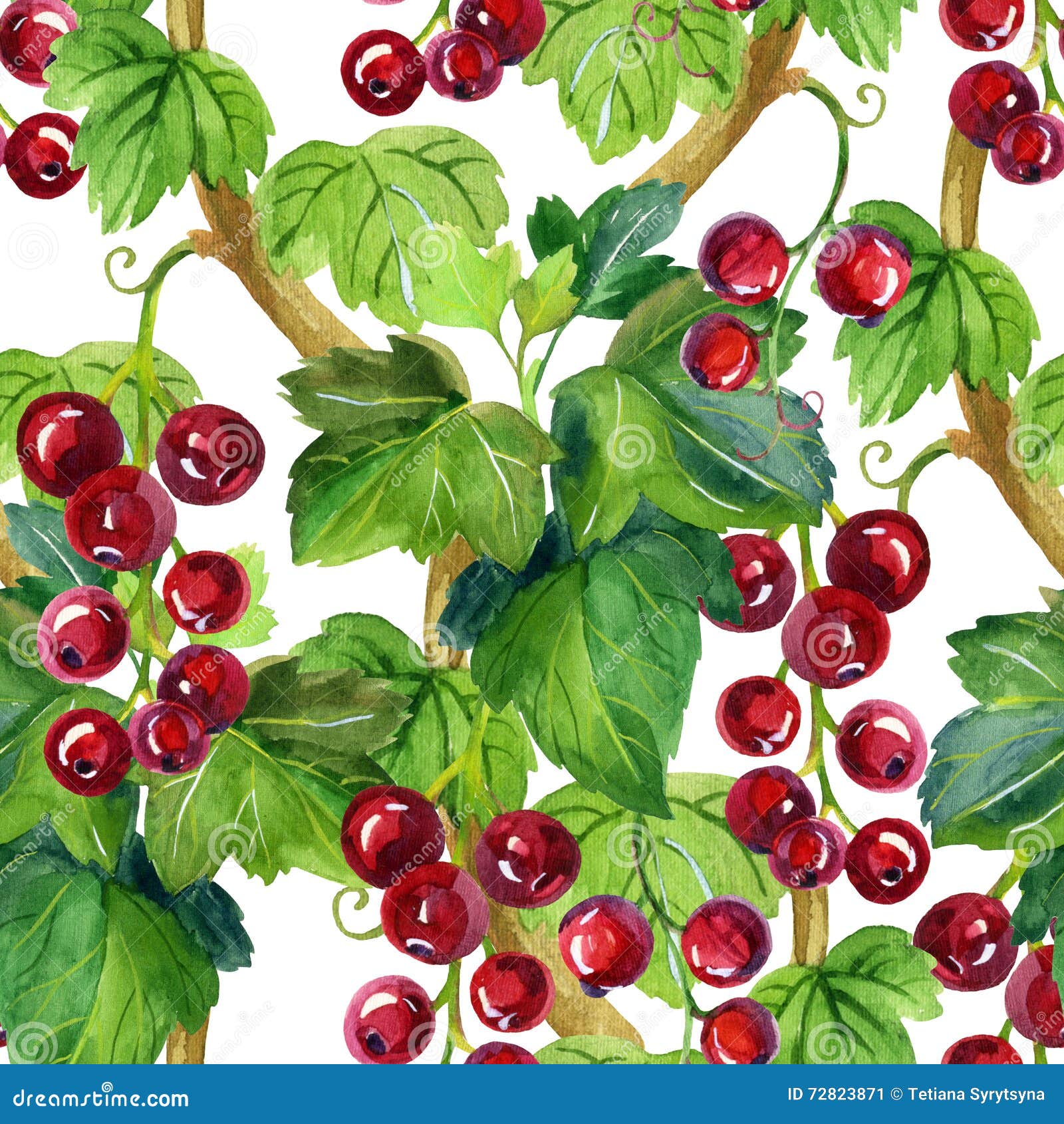 Watercolor Red Currants Seamless Pattern Stock Illustration ...