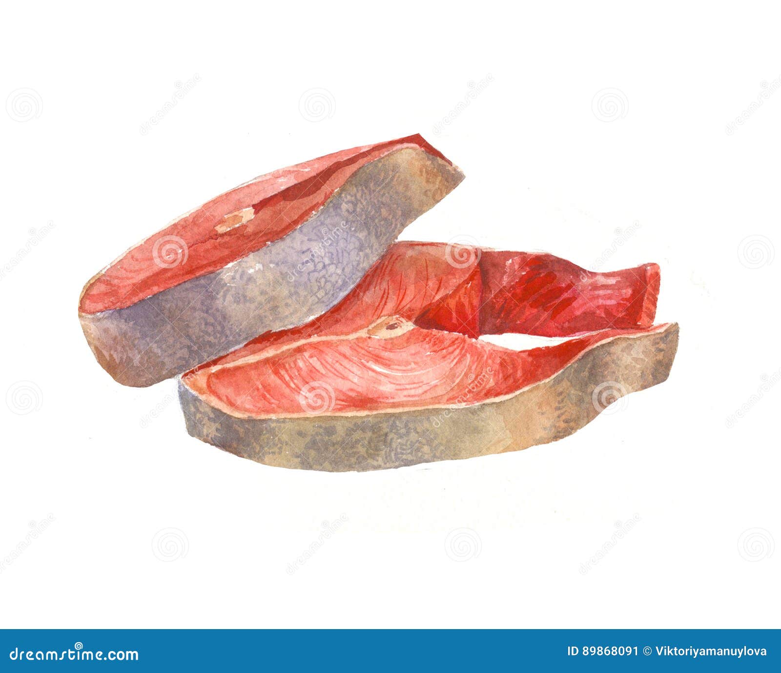 Watercolor Red Sliced Fish. Stock Illustration - Illustration of ...