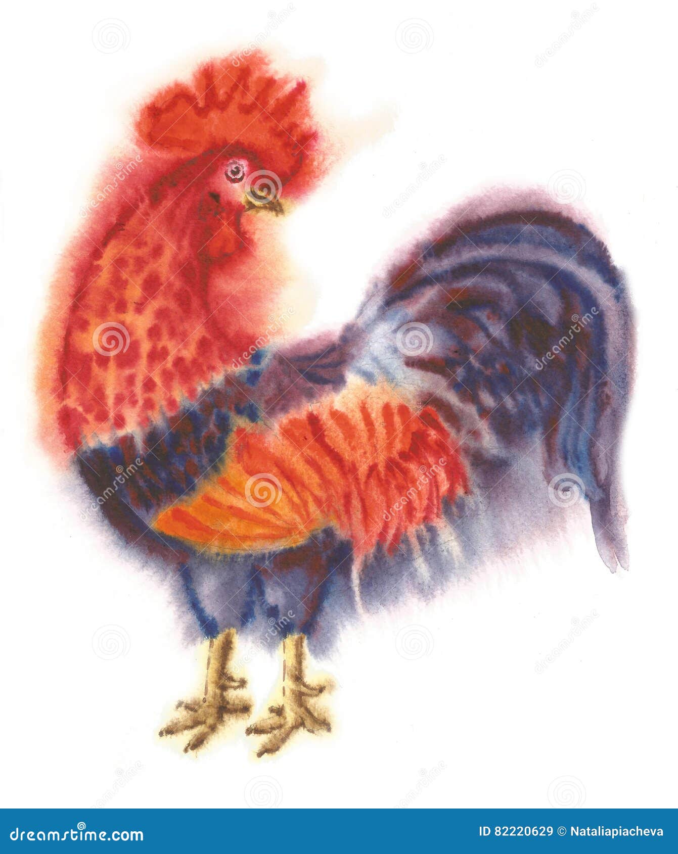 Watercolor Rooster. Hand Drawn Illustration Stock Illustration ...