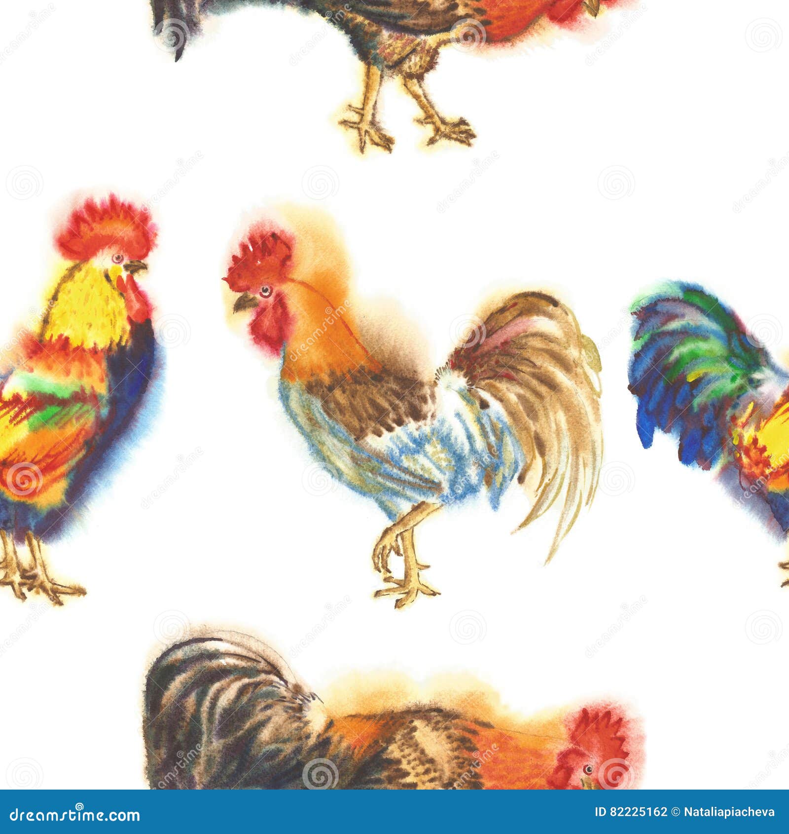 Watercolor Roosters. Hand Drawn Illustration Stock Illustration ...