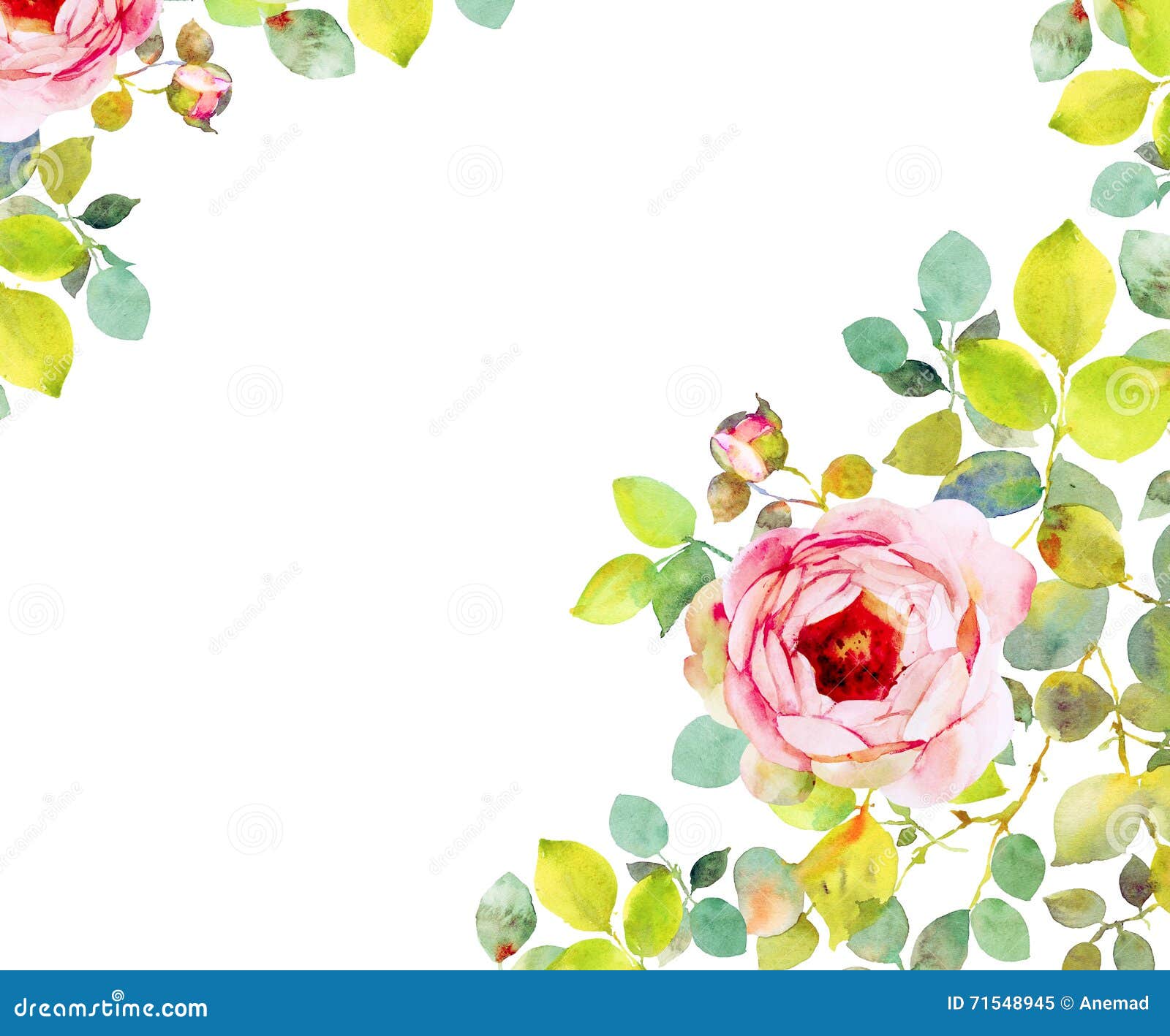 Watercolor Roses Flower Background Stock Illustration - Illustration of ...