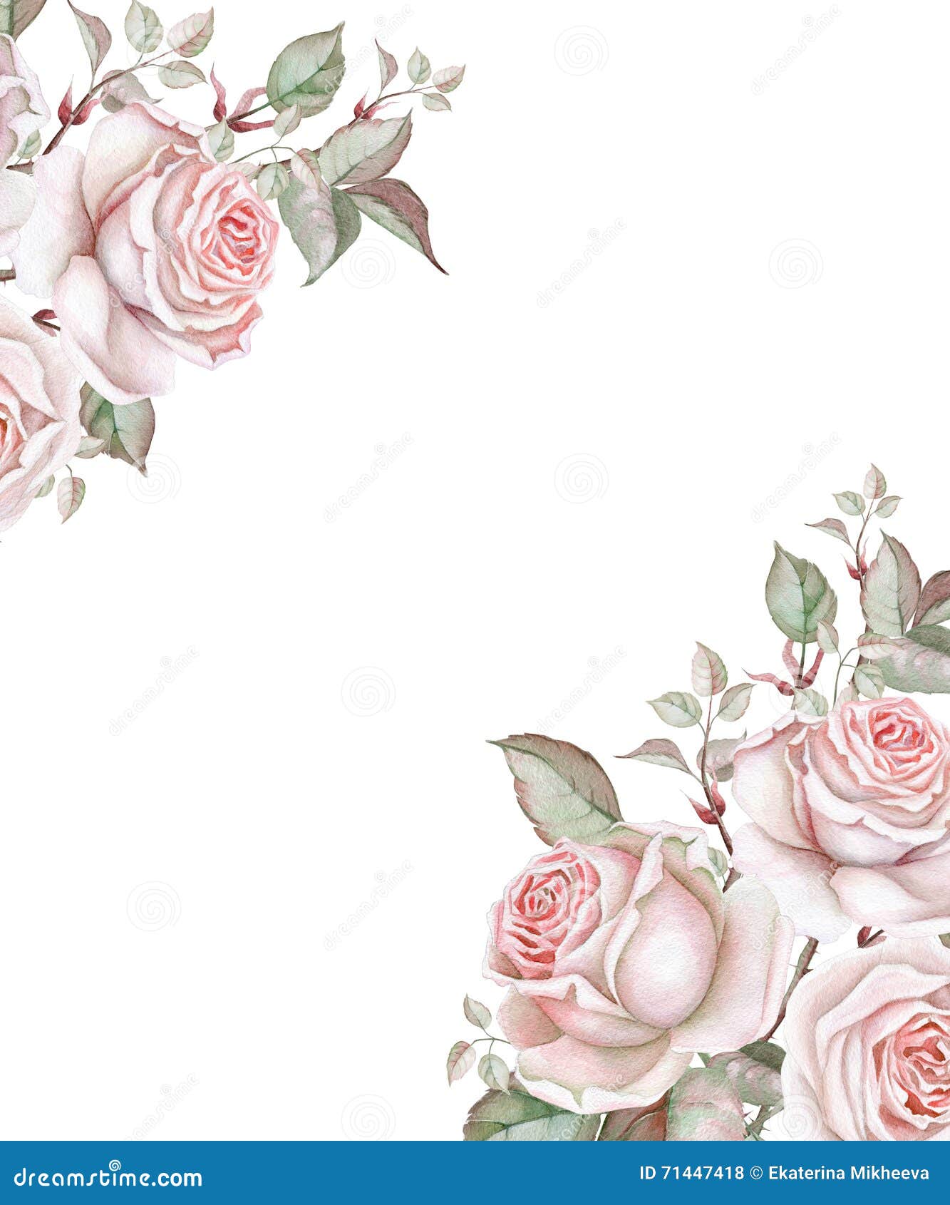 Watercolor Roses on White Background. Floral Frame Stock Illustration ...