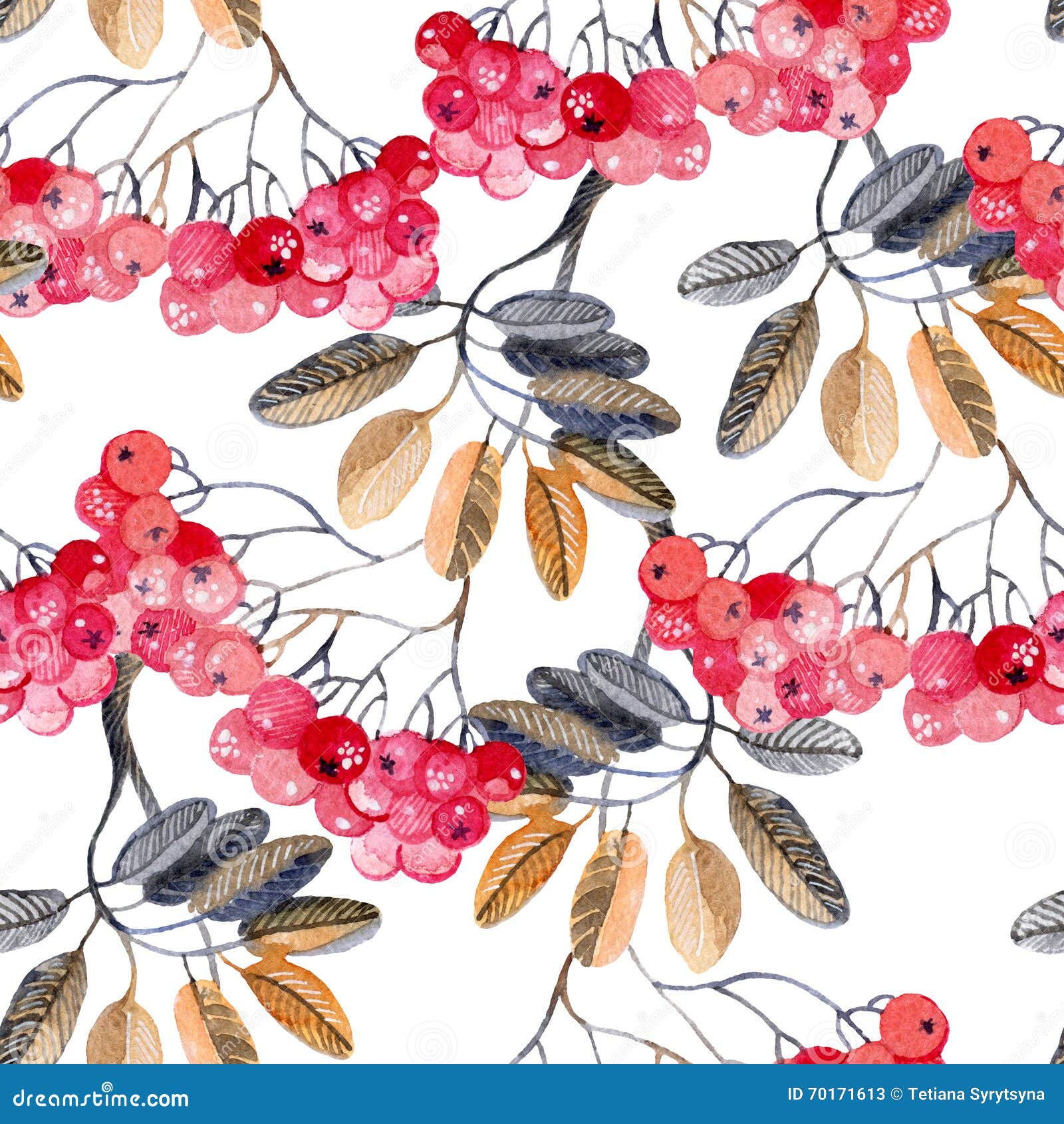 Watercolor Rowan Branches Wreath, Frame Border Royalty-Free Stock Photo ...