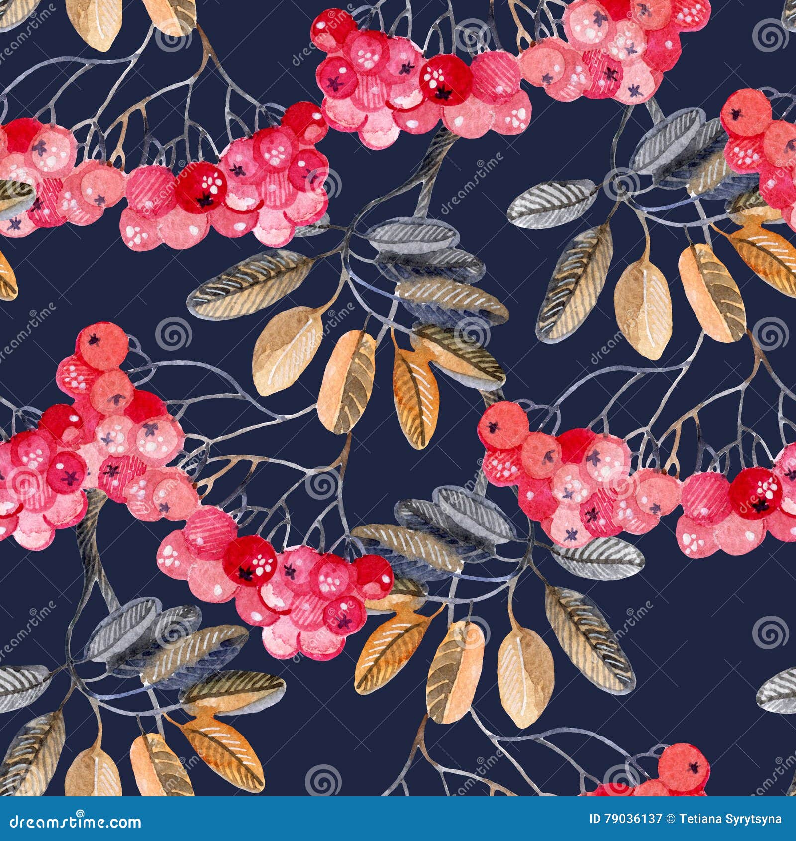 Watercolor Rowan Branches Background. Stock Illustration - Illustration ...