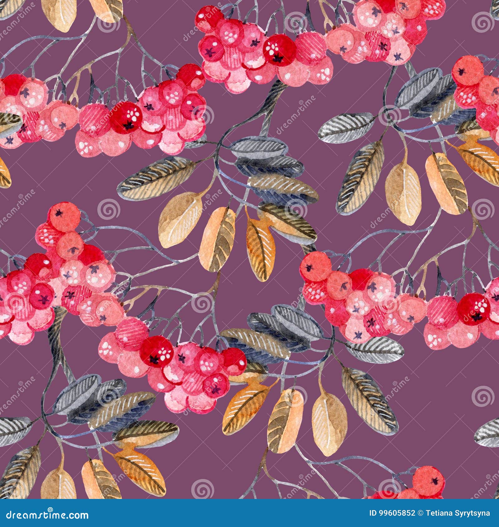 Watercolor Rowan Background Royalty-Free Stock Image | CartoonDealer ...