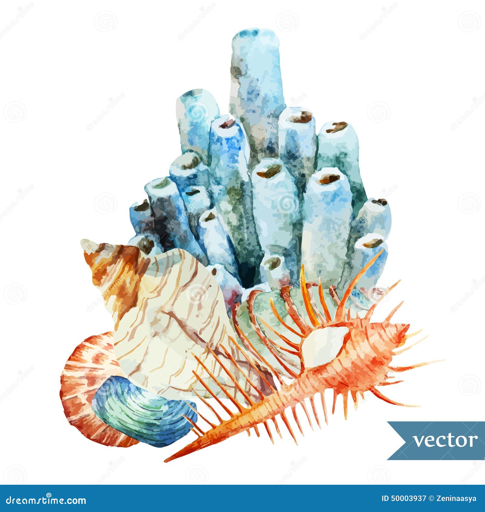 Watercolor, , Sea, Coral, Shell2 Stock Illustration - Illustration of ...