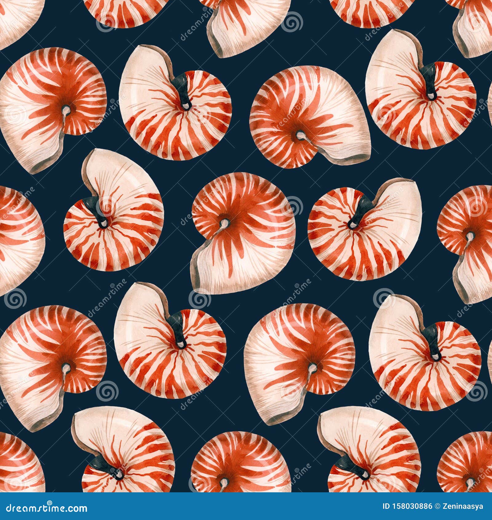 Watercolor Sea Life Nautilus Shell Pattern Stock Illustration ...