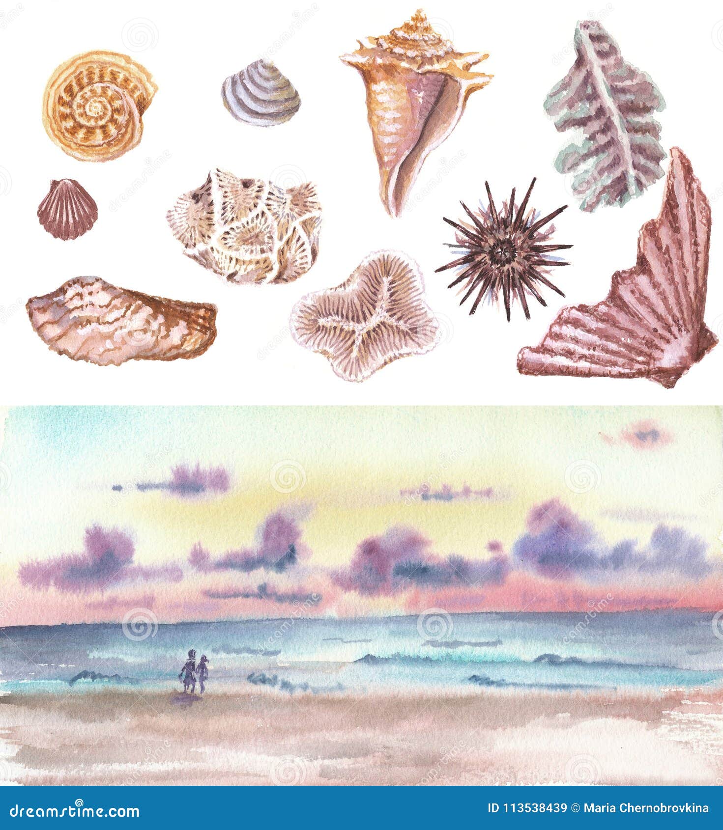 Watercolor Sea Set with Shells Stock Illustration - Illustration of ...
