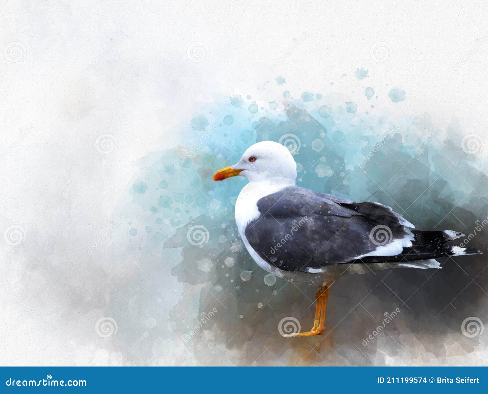 Watercolor Seagull Hand Drawn Illustration. Bird Illustration Stock ...