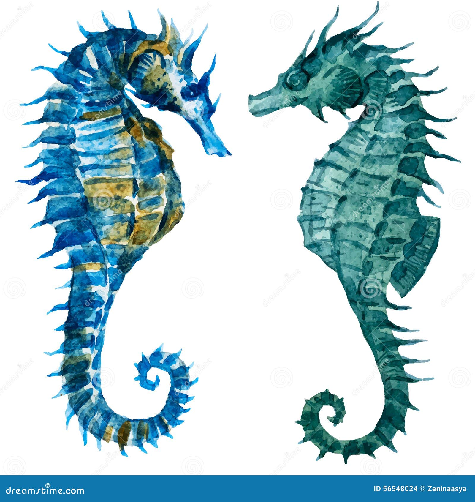 Watercolor seahorses stock vector. Illustration of tropical - 56548024
