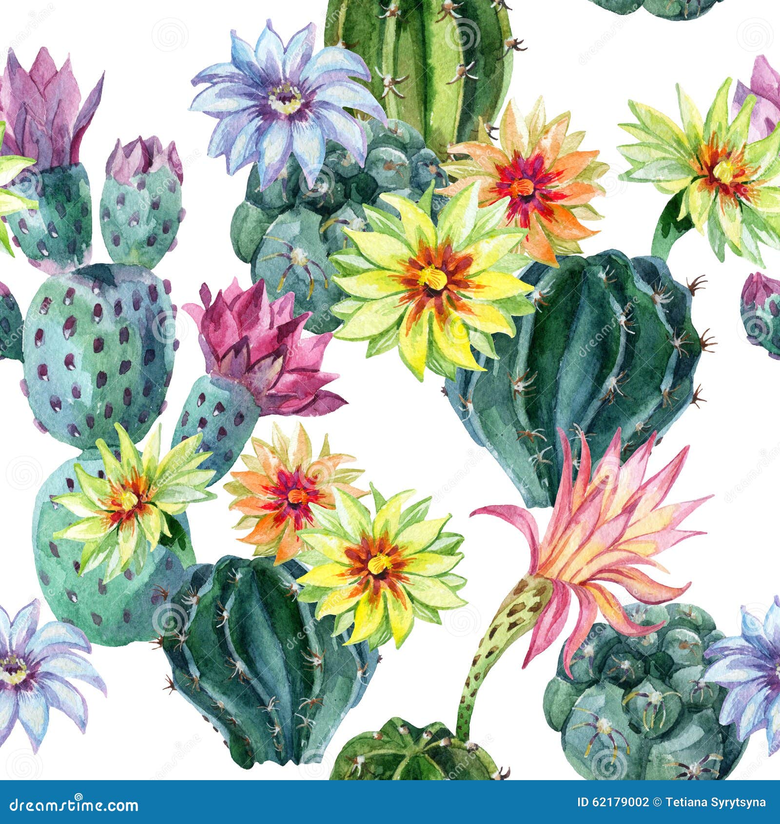Watercolor Seamless Cactus Pattern Stock Illustration - Illustration of ...
