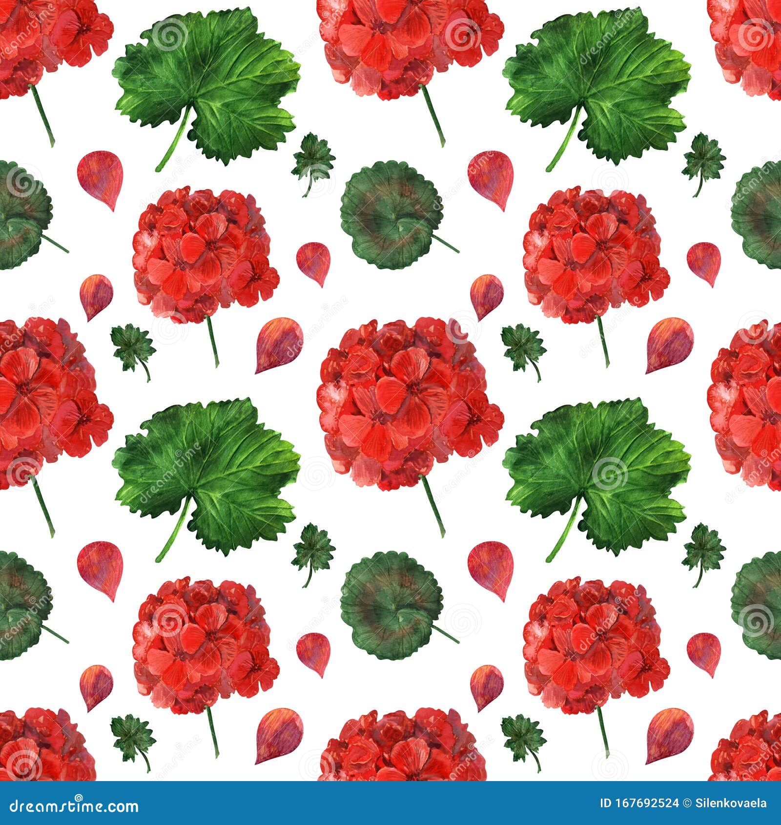 Watercolor Seamless Pattern of Blooming Geraniums, Leaves and Flowers ...