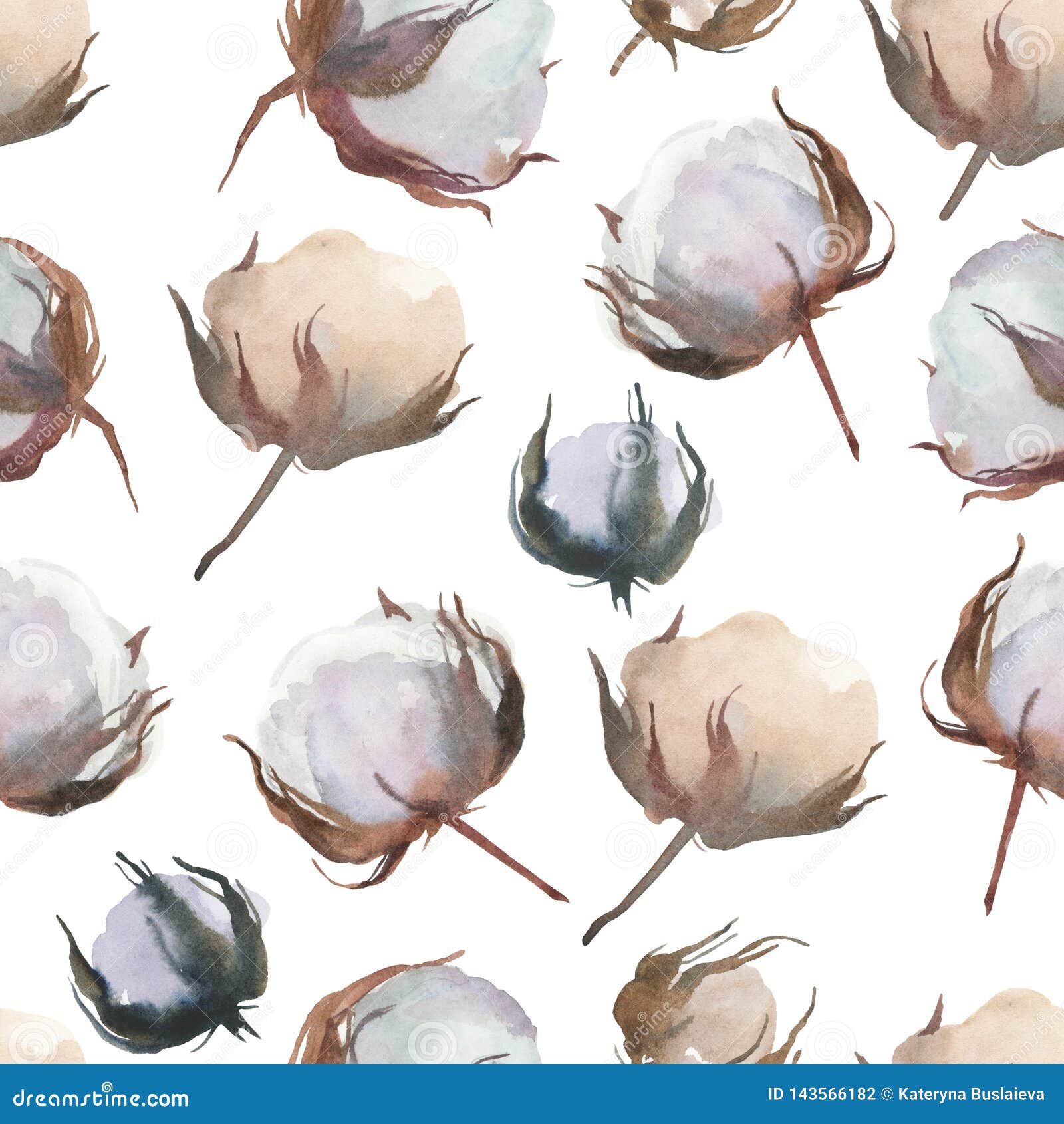 Watercolor Seamless Pattern of Cotton Buds on White Background Stock ...