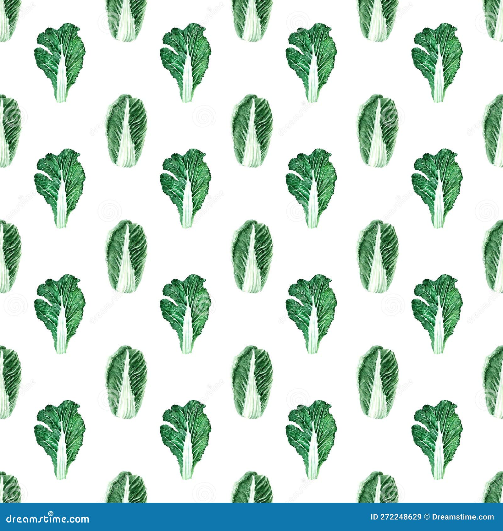 Watercolor Seamless Pattern of Fresh Cabbage Stock Illustration ...