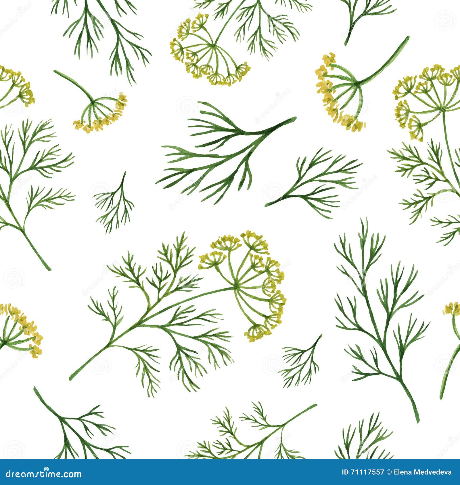 Watercolor Seamless Pattern Hand Drawn Herb Dill . Stock Vector - Illustration of dill, hand ...