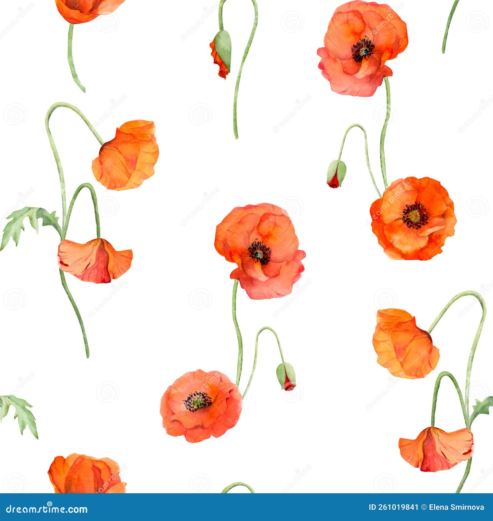 Watercolor Seamless Pattern With Hand Drawn Summer Bright Red Poppy