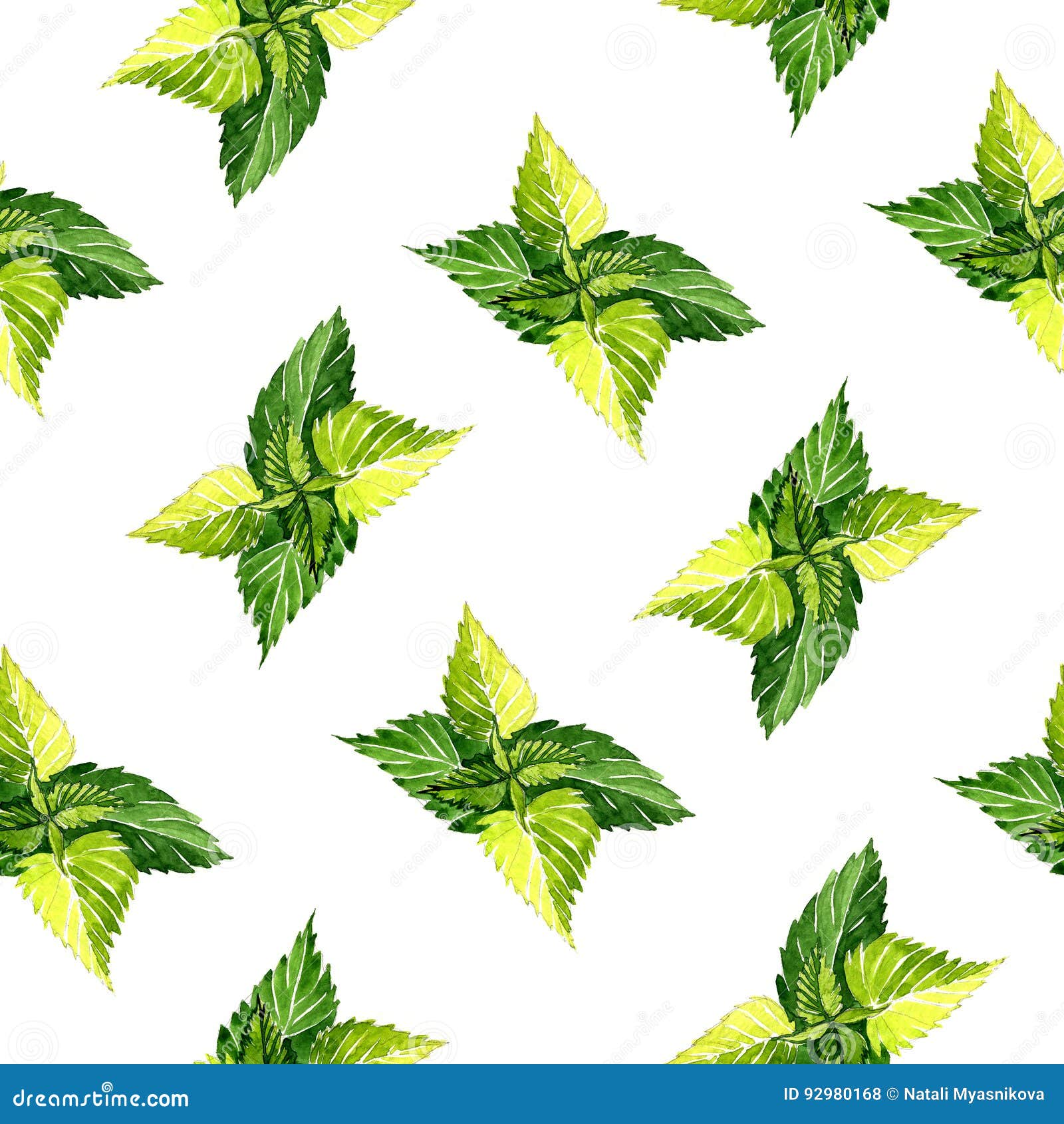 Watercolor Seamless Pattern with Nettle Flowers and Branches ...