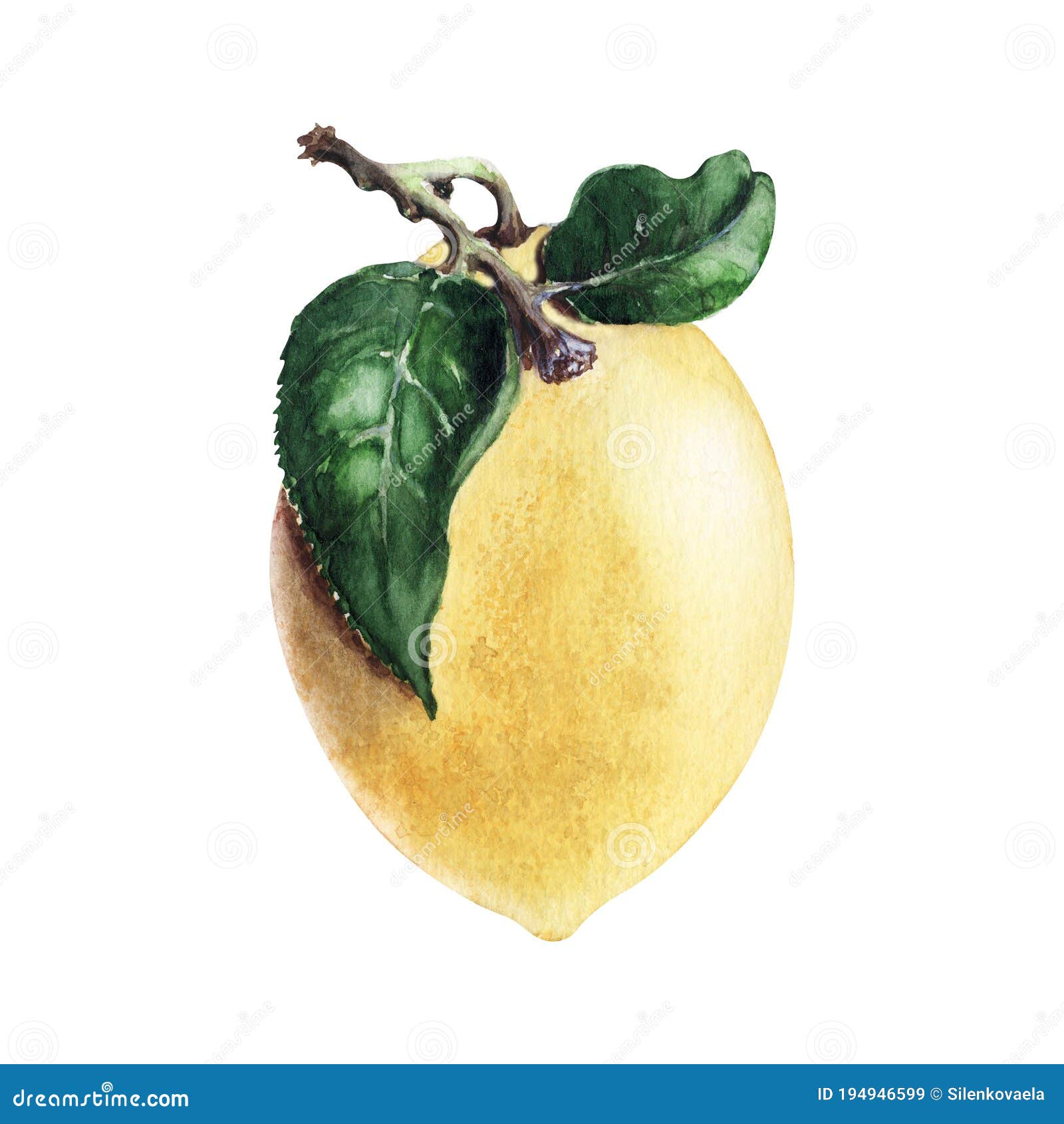 Ripe Compositions Stock Illustrations – 880 Ripe Compositions Stock ...