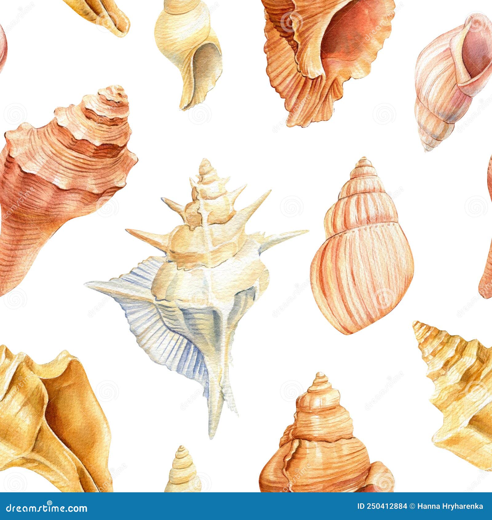 Watercolor Seamless Pattern with Seashells, Hand Drawn Vintage Sea ...