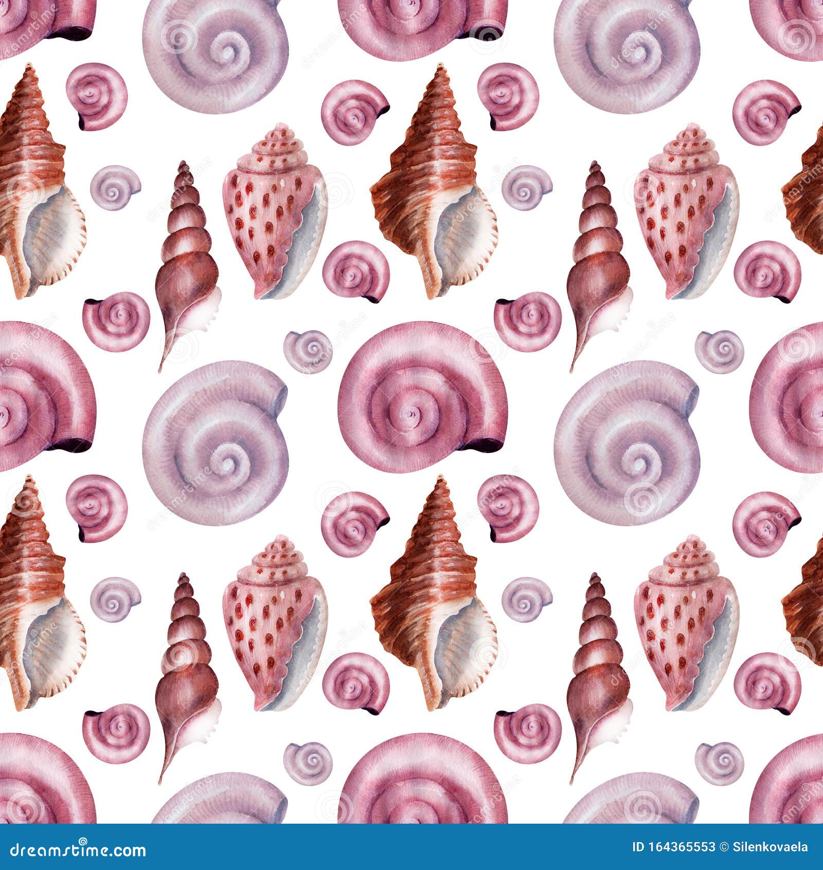Watercolor Seamless Pattern Seashells. Pink Shells Stock Image - Image ...